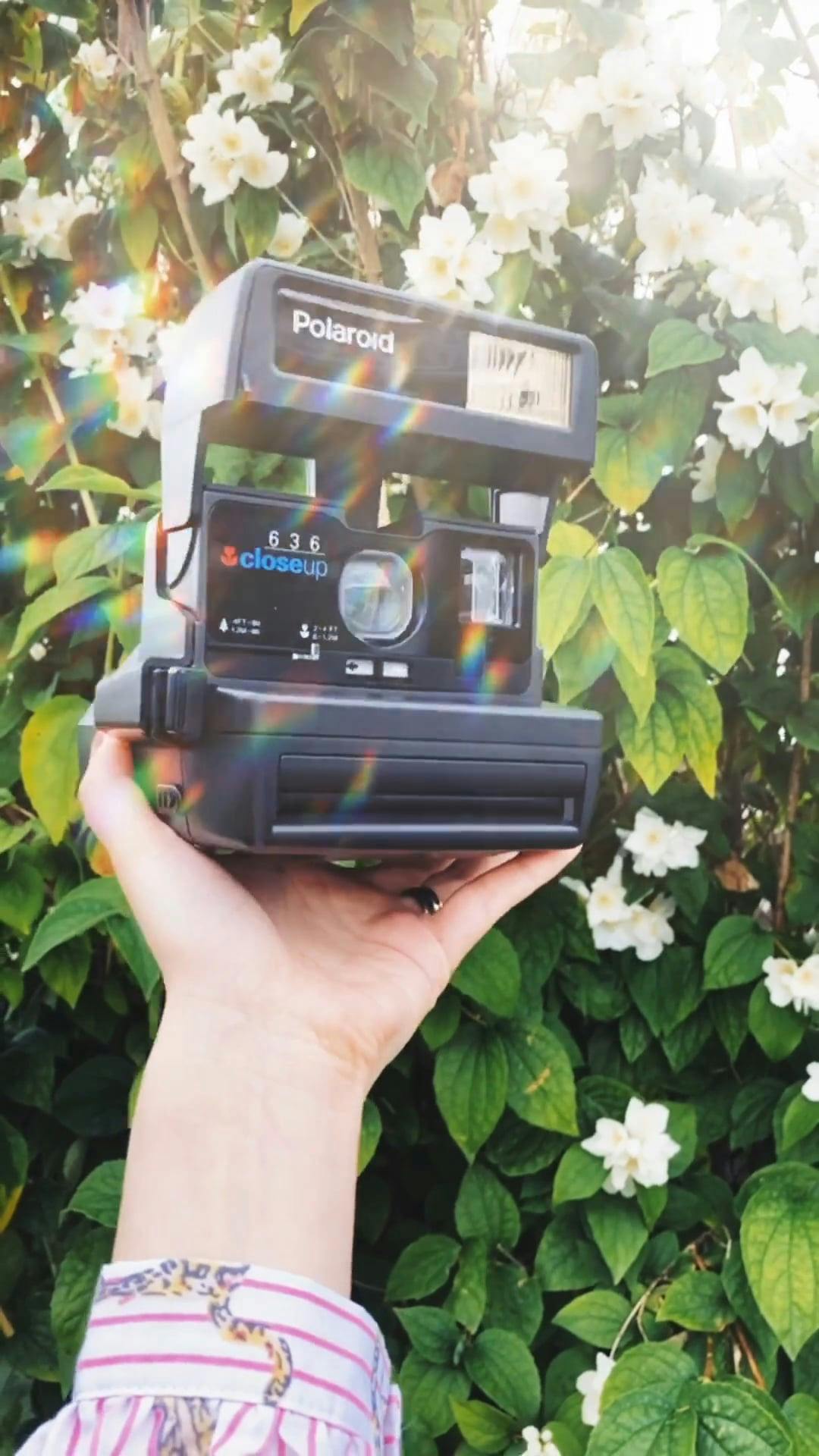 A Man Taking Photo Using A Polaroid Producing Instant Result · Free ...