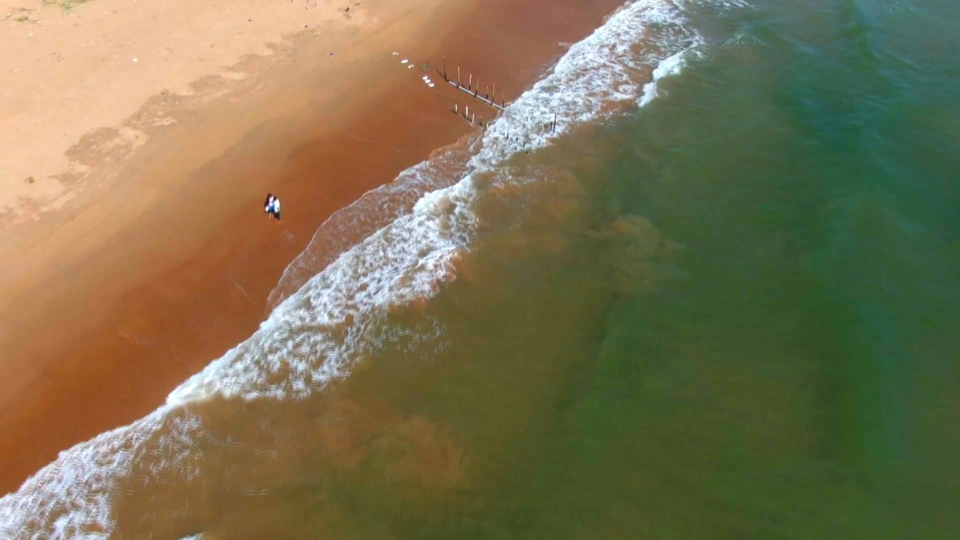 Drone Footage of a Beach · Free Stock Video