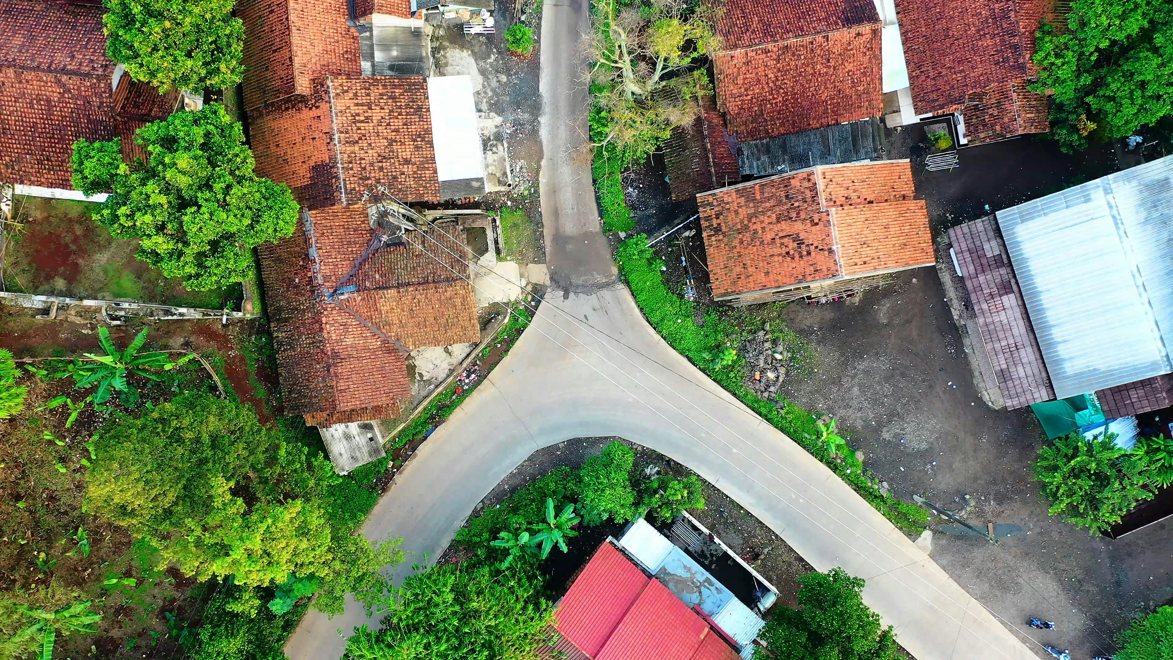 Ride Tree Videos, Download The BEST Free 4k Stock Video Footage & Ride ...