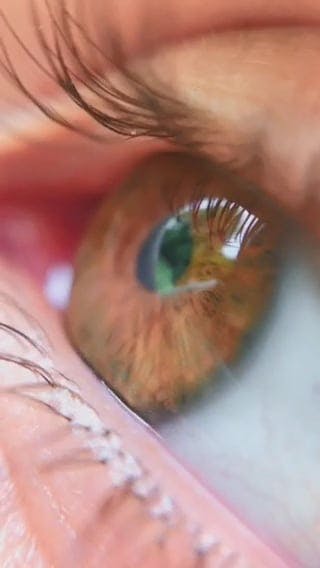 Eye Anatomy Videos, Download The BEST Free 4k Stock Video Footage & Eye ...
