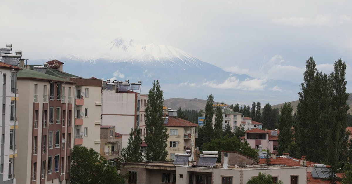 Stratovolcano 건물 건축 겨울 경치 경치 좋은 전망 고요한 고요함 관광 구름 나무 날씨 높이