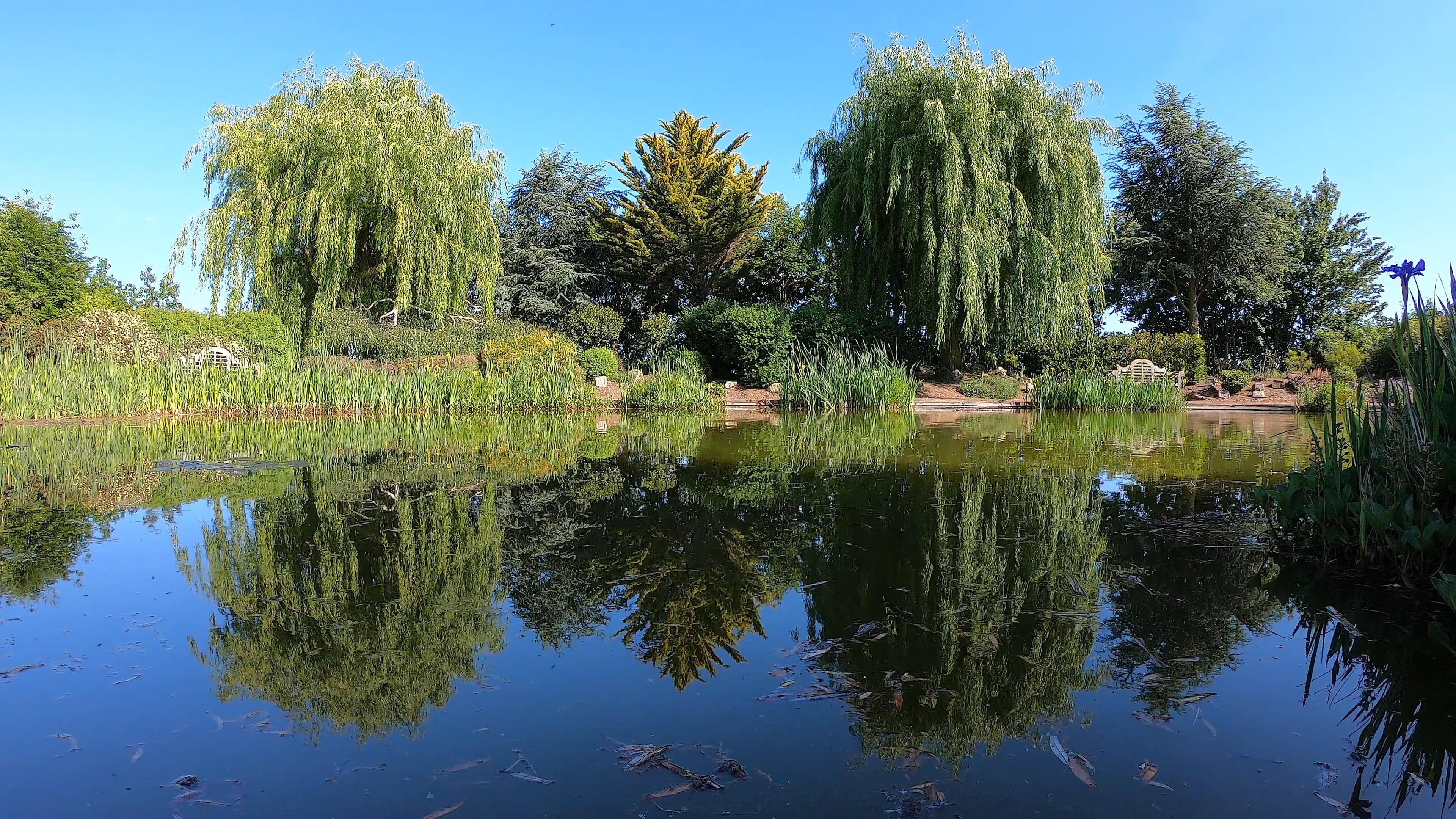 Scenic View of a Water Pond Free Stock Video Footage, Royalty-Free 4K ...
