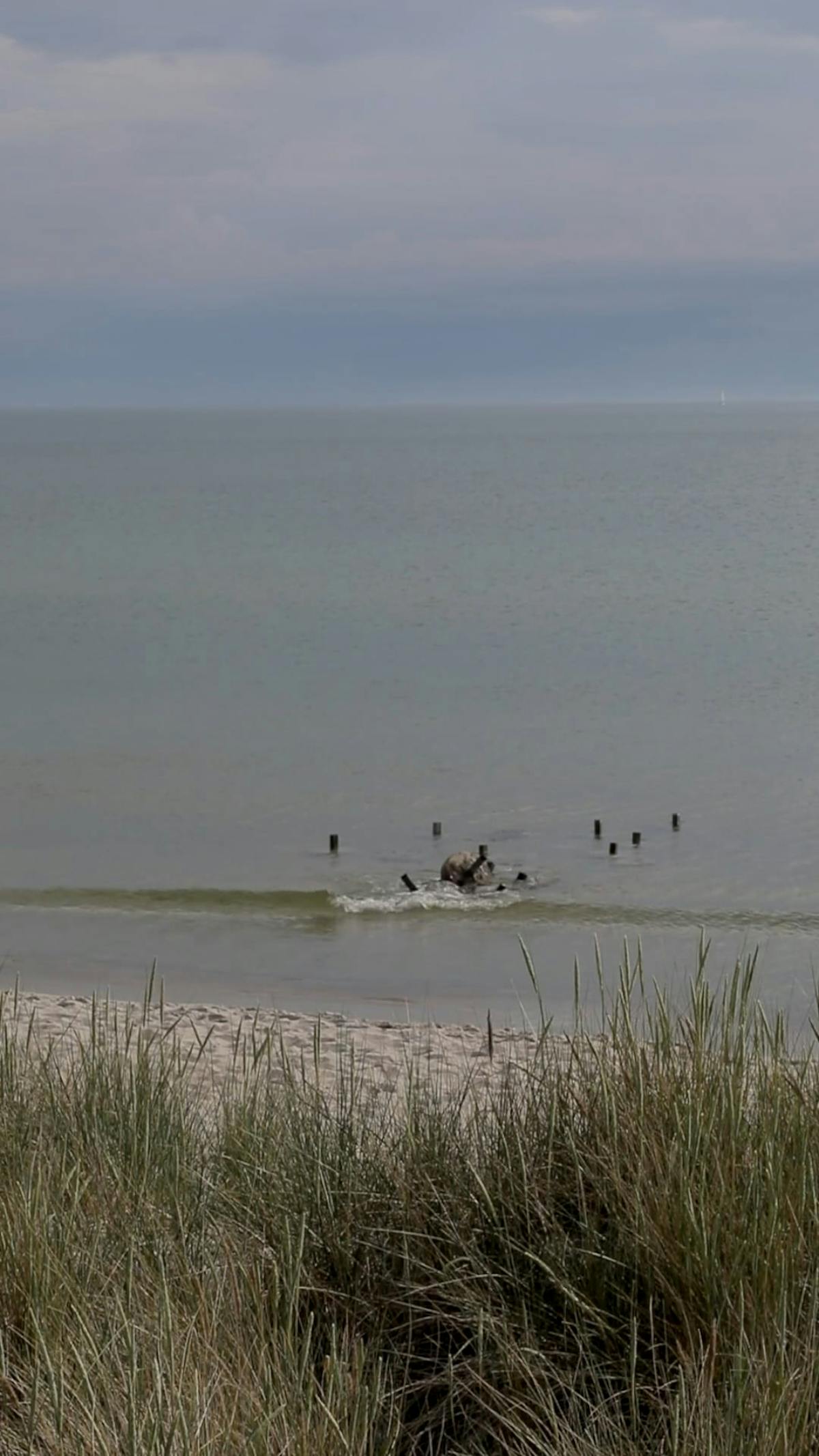 Beach Vertical Videos, Download The BEST Free 4k Stock Video Footage ...