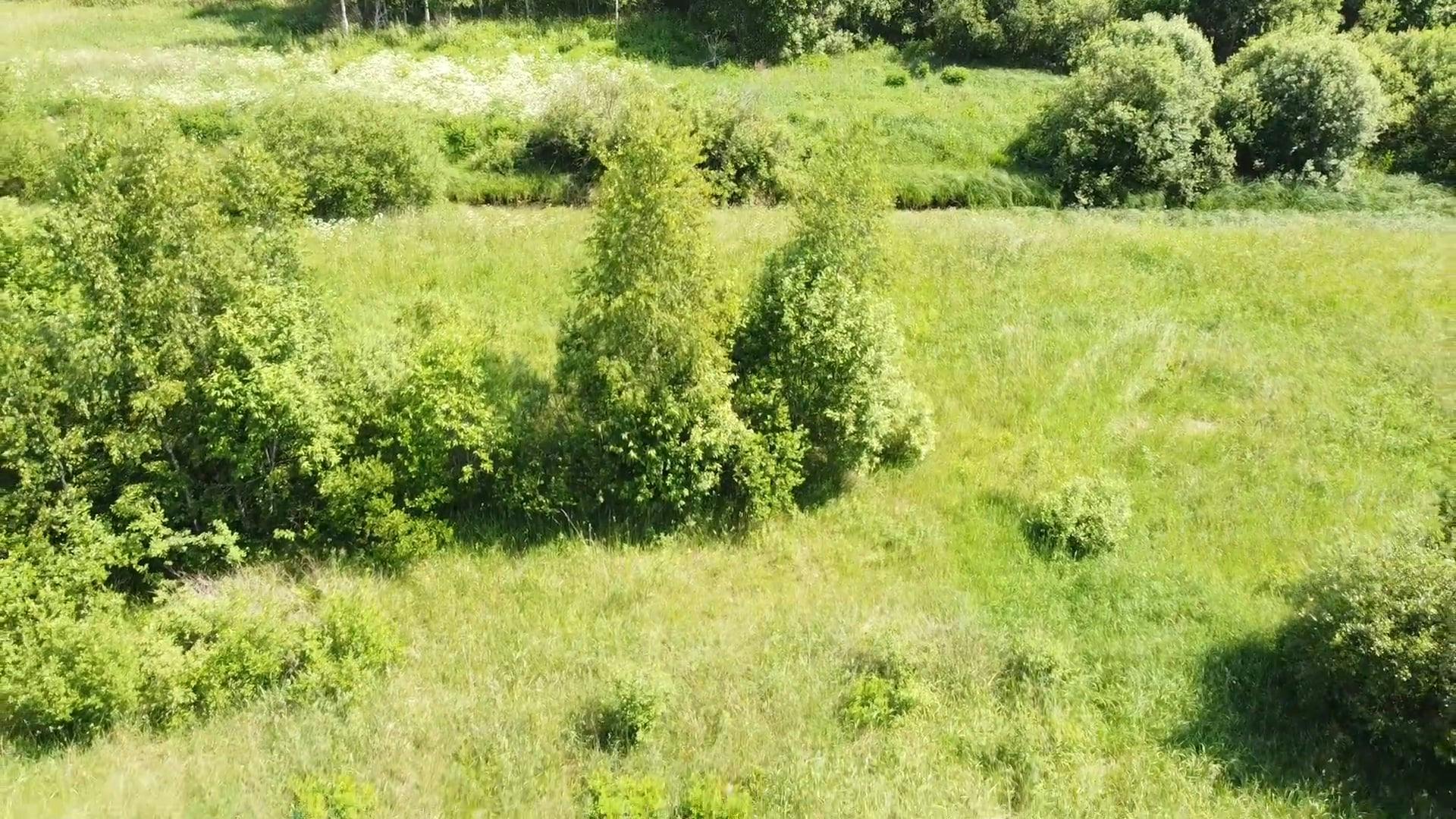 An Aerial Footage of a Meadow · Free Stock Video