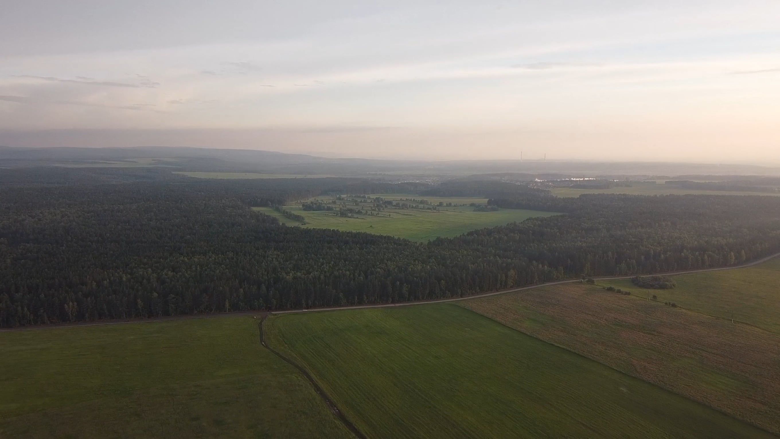 Drone Footage of a Vast Forest Free Stock Video Footage, Royalty-Free ...
