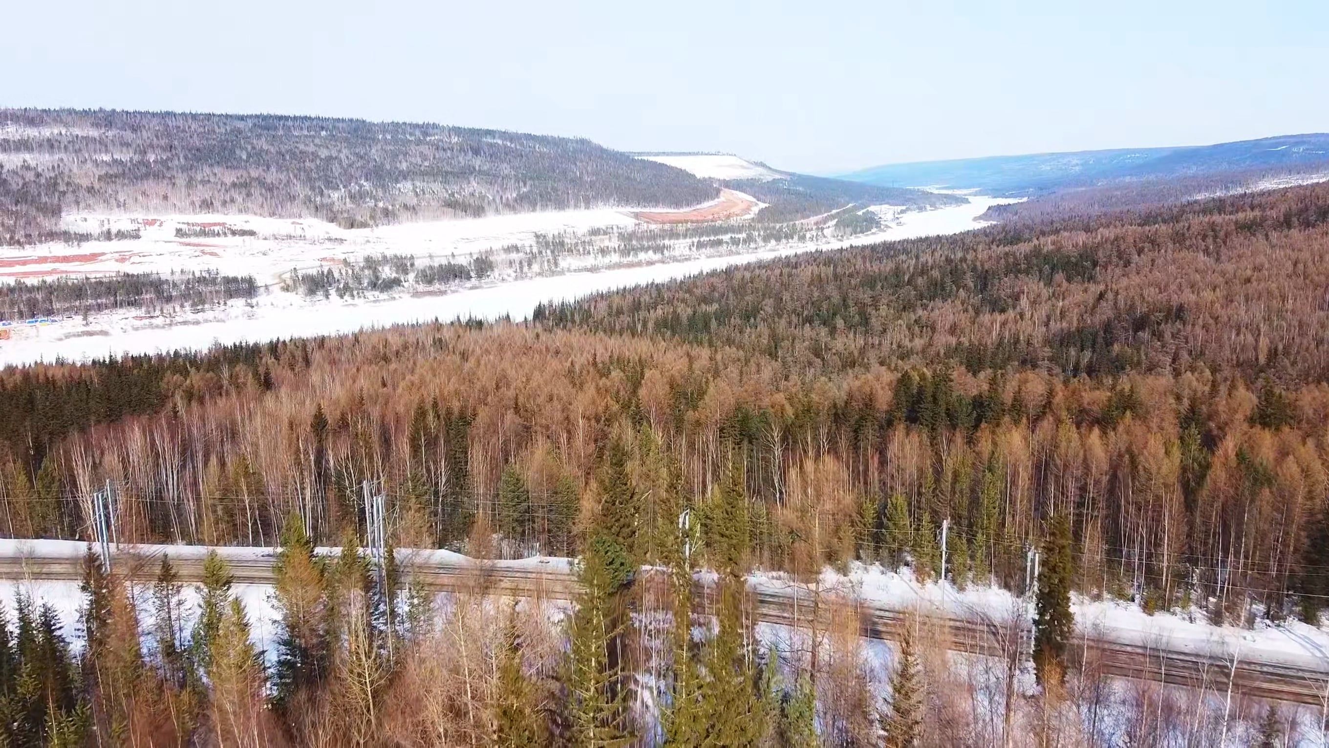 Drone Footage of a Vast Forest Free Stock Video Footage, Royalty-Free ...