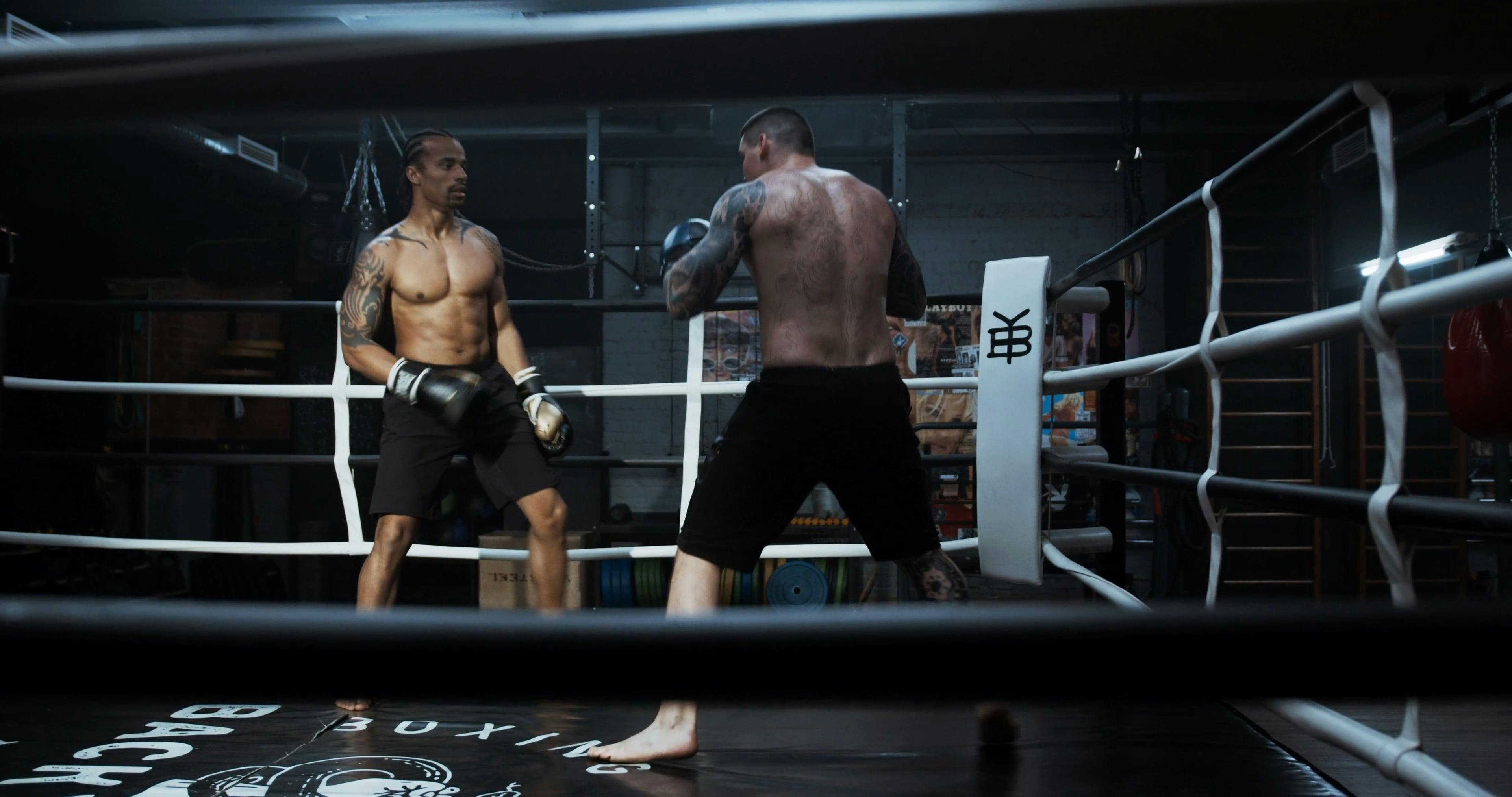 Two Men Showing Sportsmanship In Sparring · Free Stock Video