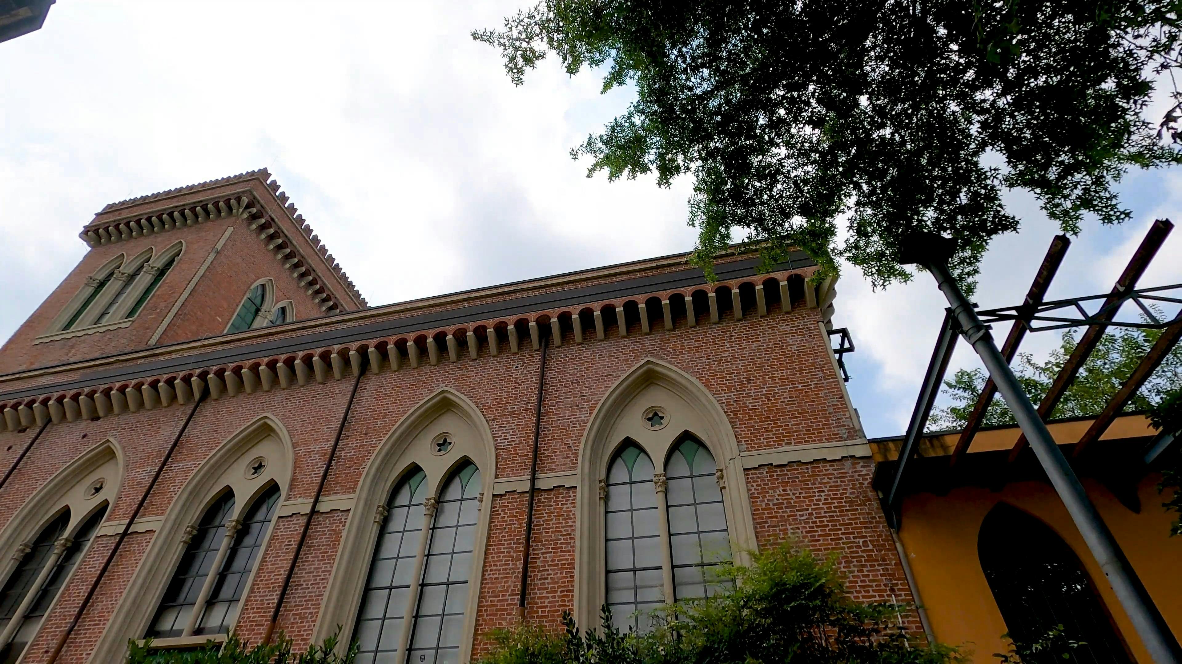 Tree Museum Videos, Download The BEST Free 4k Stock Video Footage ...