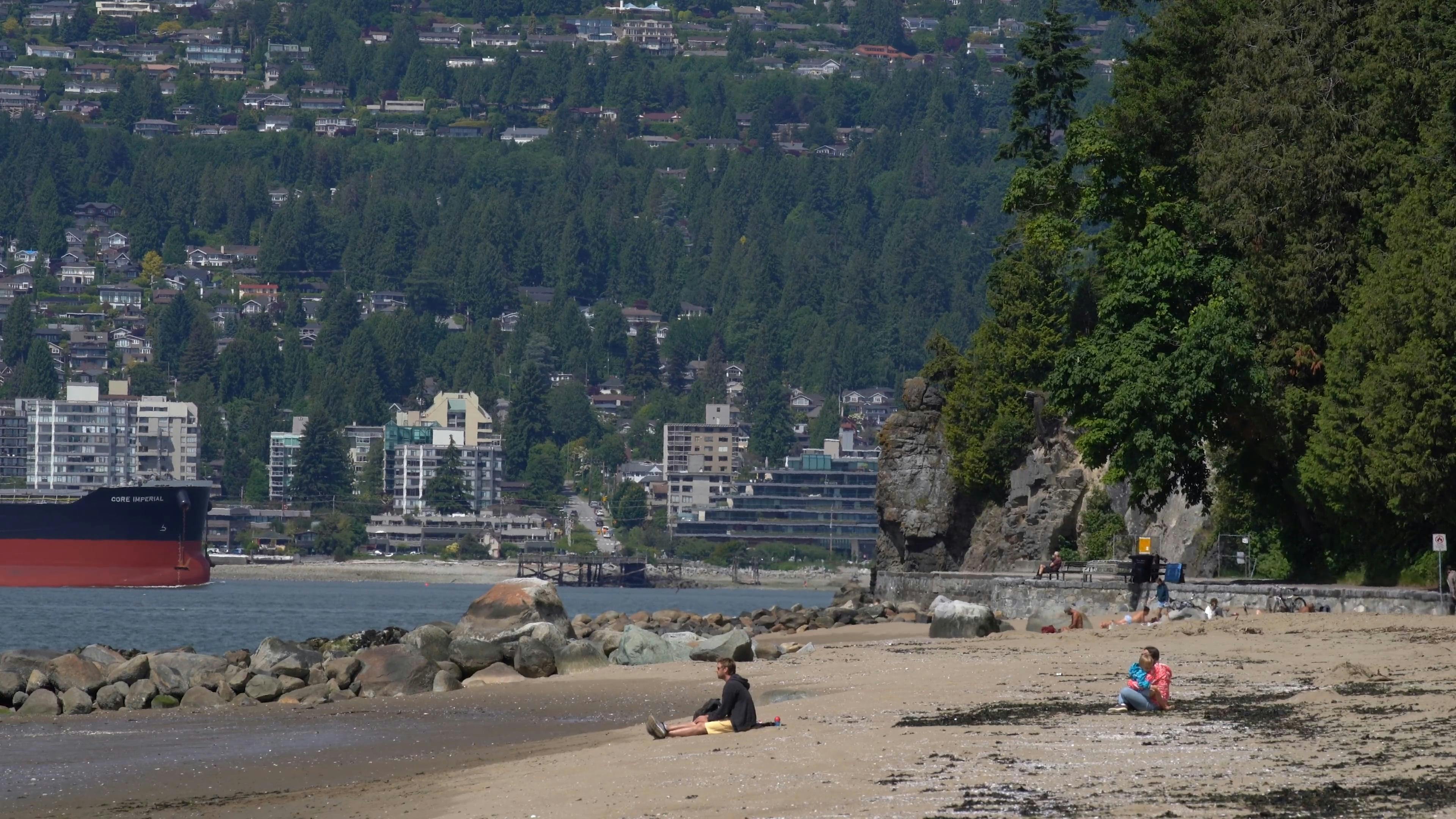 Big Cargo Ship Passing on the Shore Free Stock Video Footage, Royalty ...