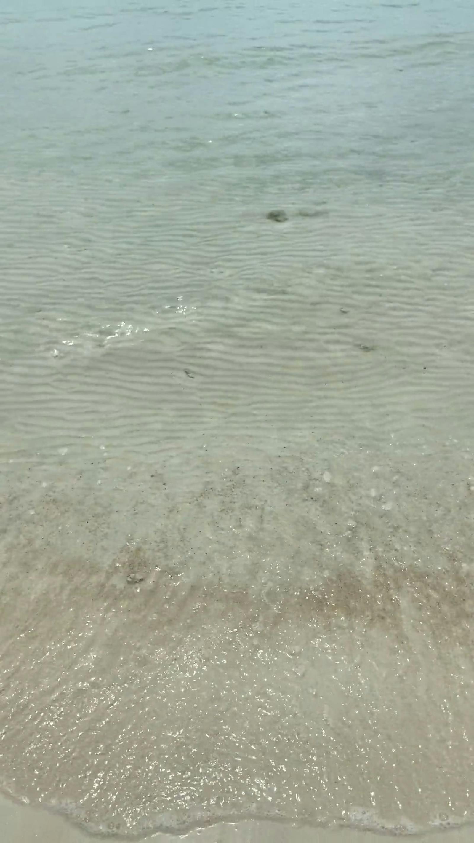 Calming Nature Videos, Download The BEST Free 4k Stock Video Footage ...