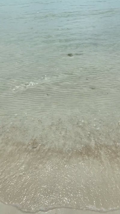 Calming Nature Videos, Download The BEST Free 4k Stock Video Footage ...