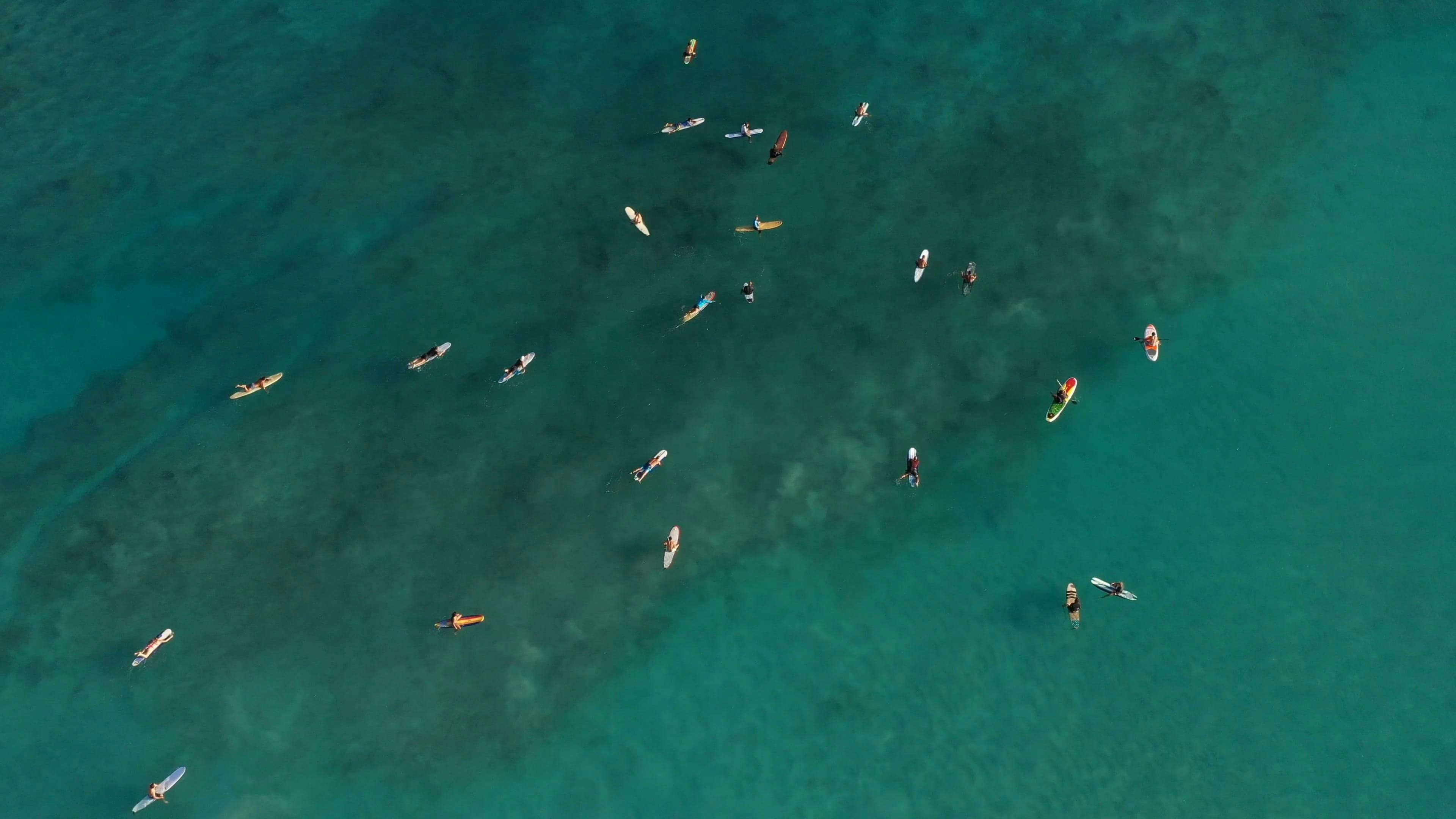 Surfers Waiting For Waves To Ride In The Open Sea Free Stock Video ...