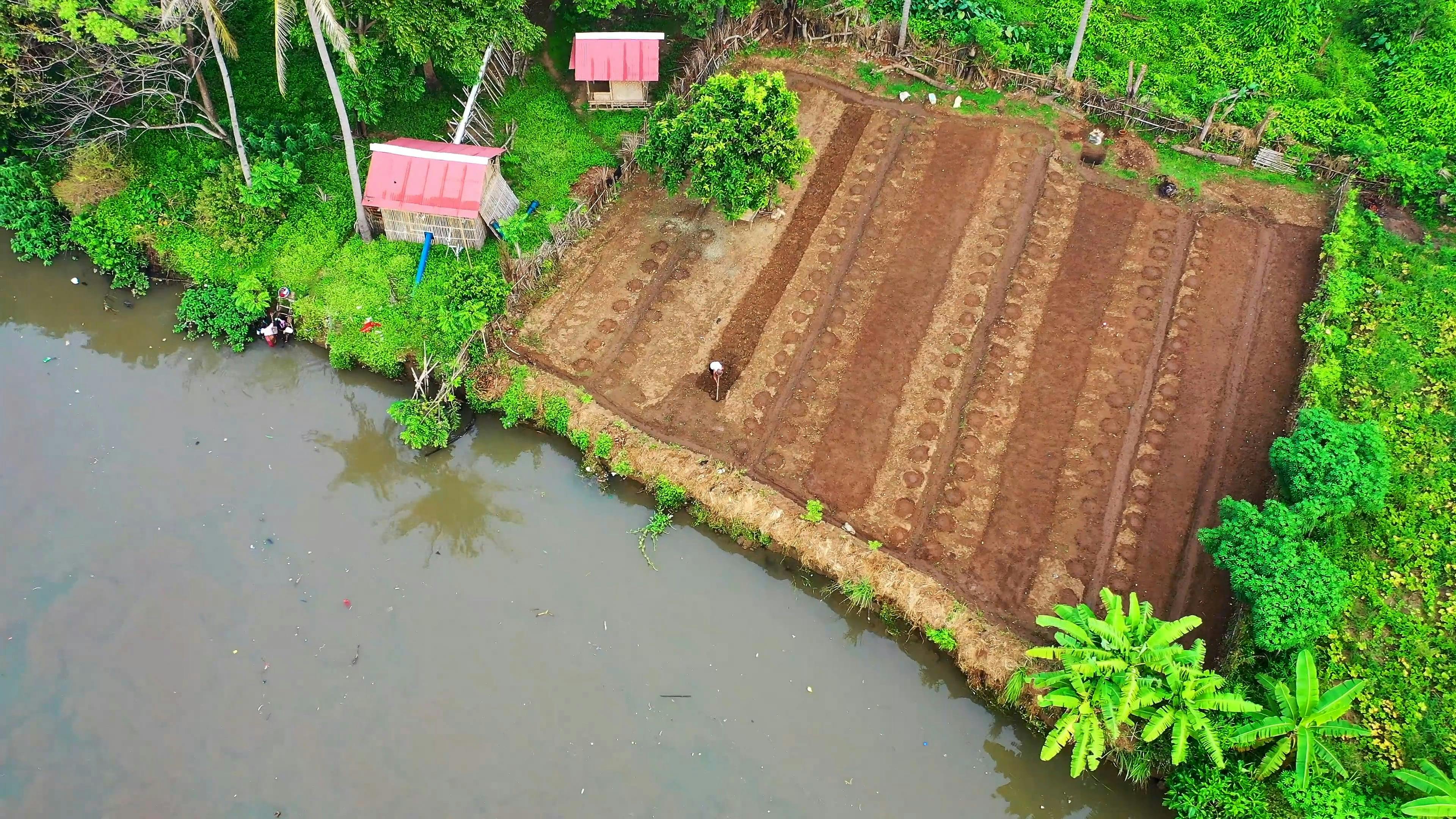 Digging Whole On The Fields Videos, Download The BEST Free 4k Stock ...