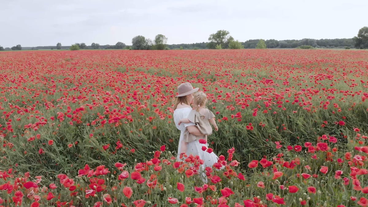 10.000+ Video Bokep+ibu+ibu+orang+desa+kampung+sunda Terbaik · Unduh Gratis 100% · Video Stok Pexels