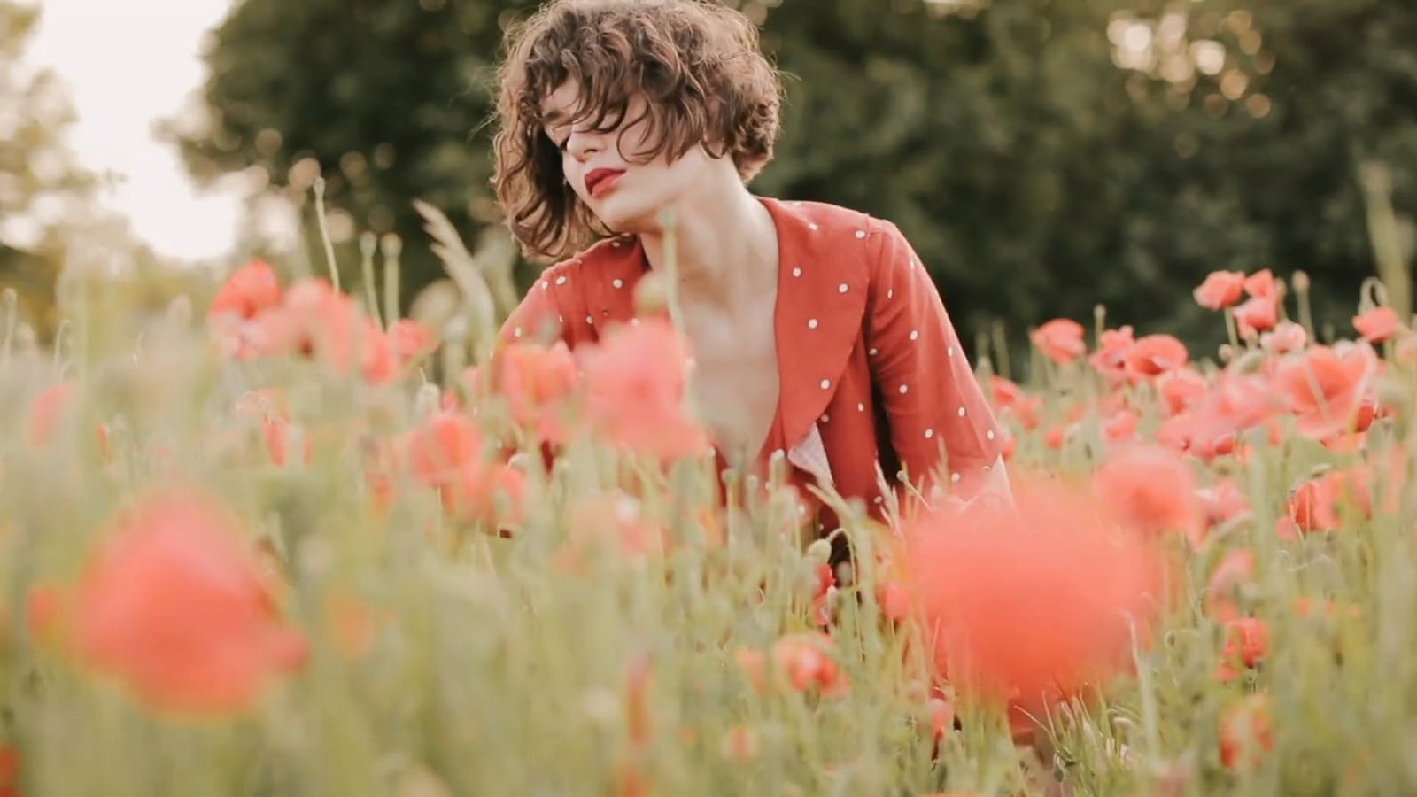 Dancing Flowers Videos, Download The BEST Free 4k Stock Video Footage ...