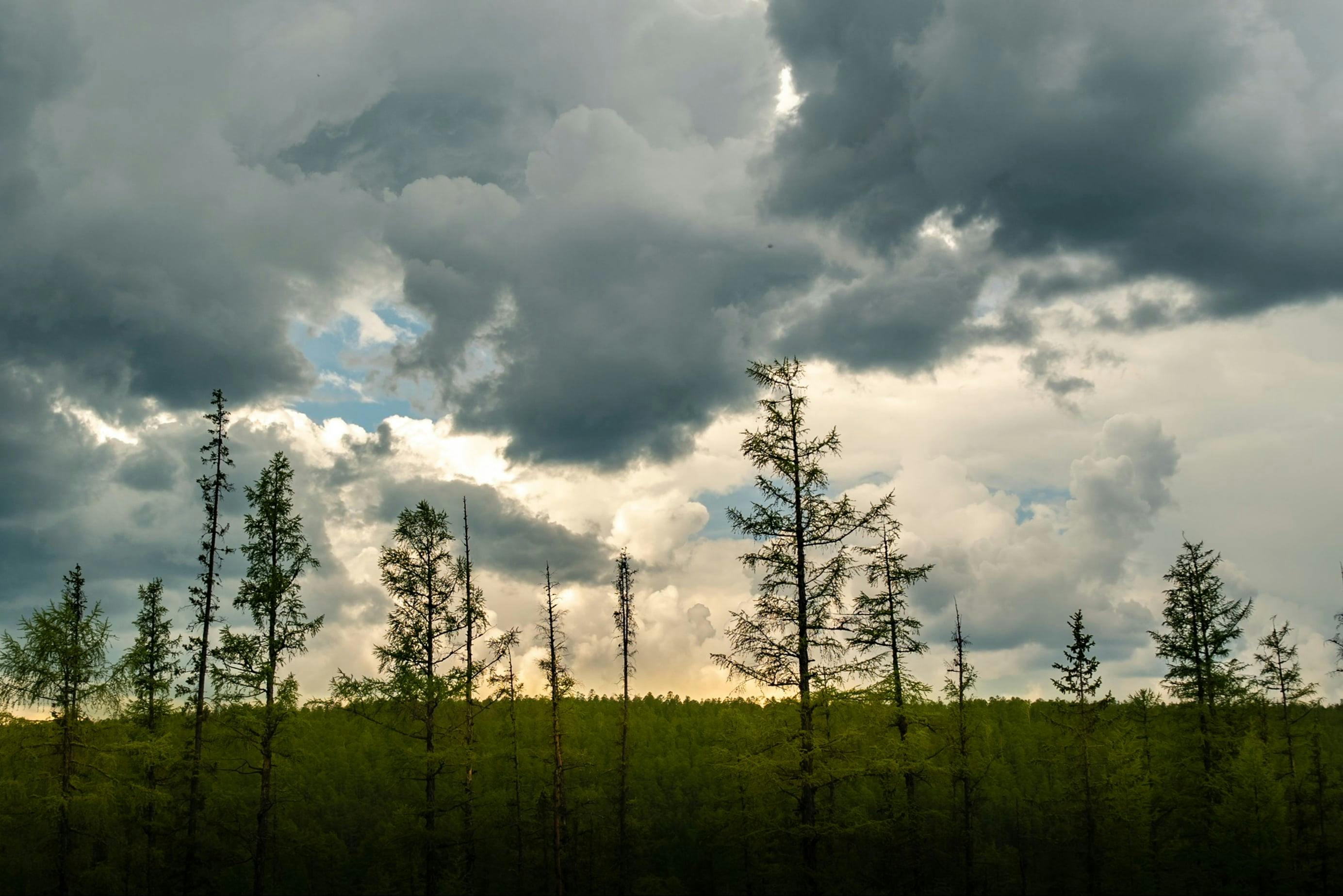 View Of Clouds On Time Lapse Mode · Free Stock Video