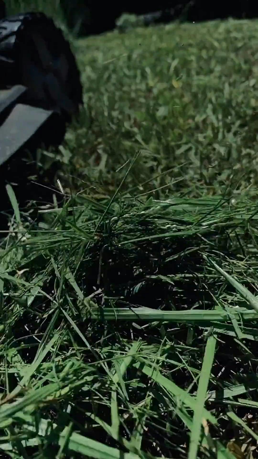 A Lawn Mower Cutting Grass · Free Stock Video