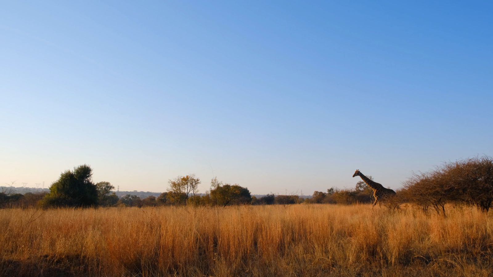 Long Nature Video Videos, Download The BEST Free 4k Stock Video Footage ...