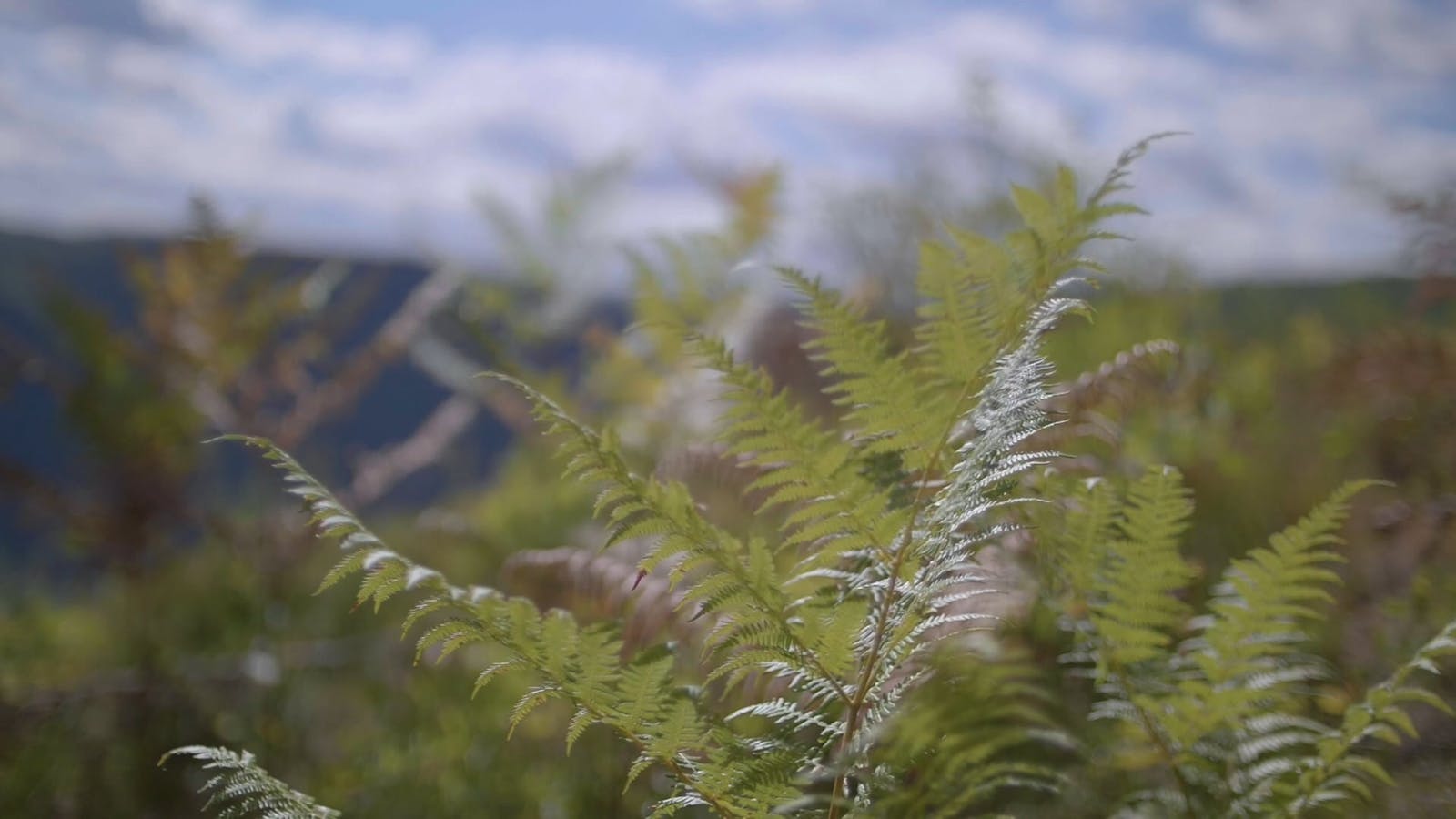 Stock Video Videos, Download The BEST Free 4k Stock Video Footage ...