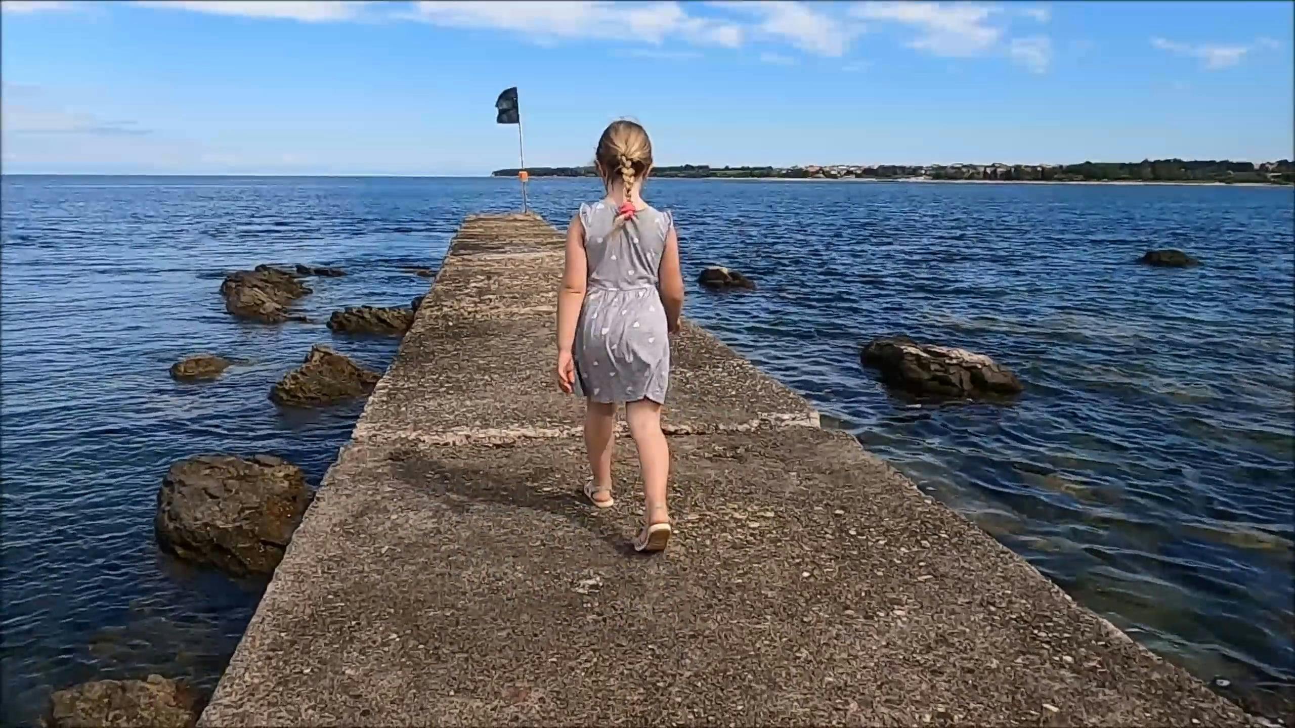 Here Ae The Following Steps Videos, Download The BEST Free 4k Stock ...