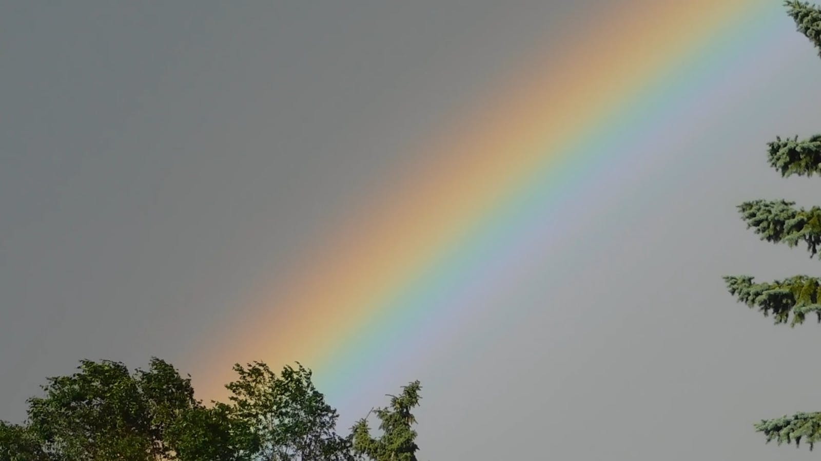 Rainbow Videos, Download The BEST Free 4k Stock Video Footage & Rainbow ...