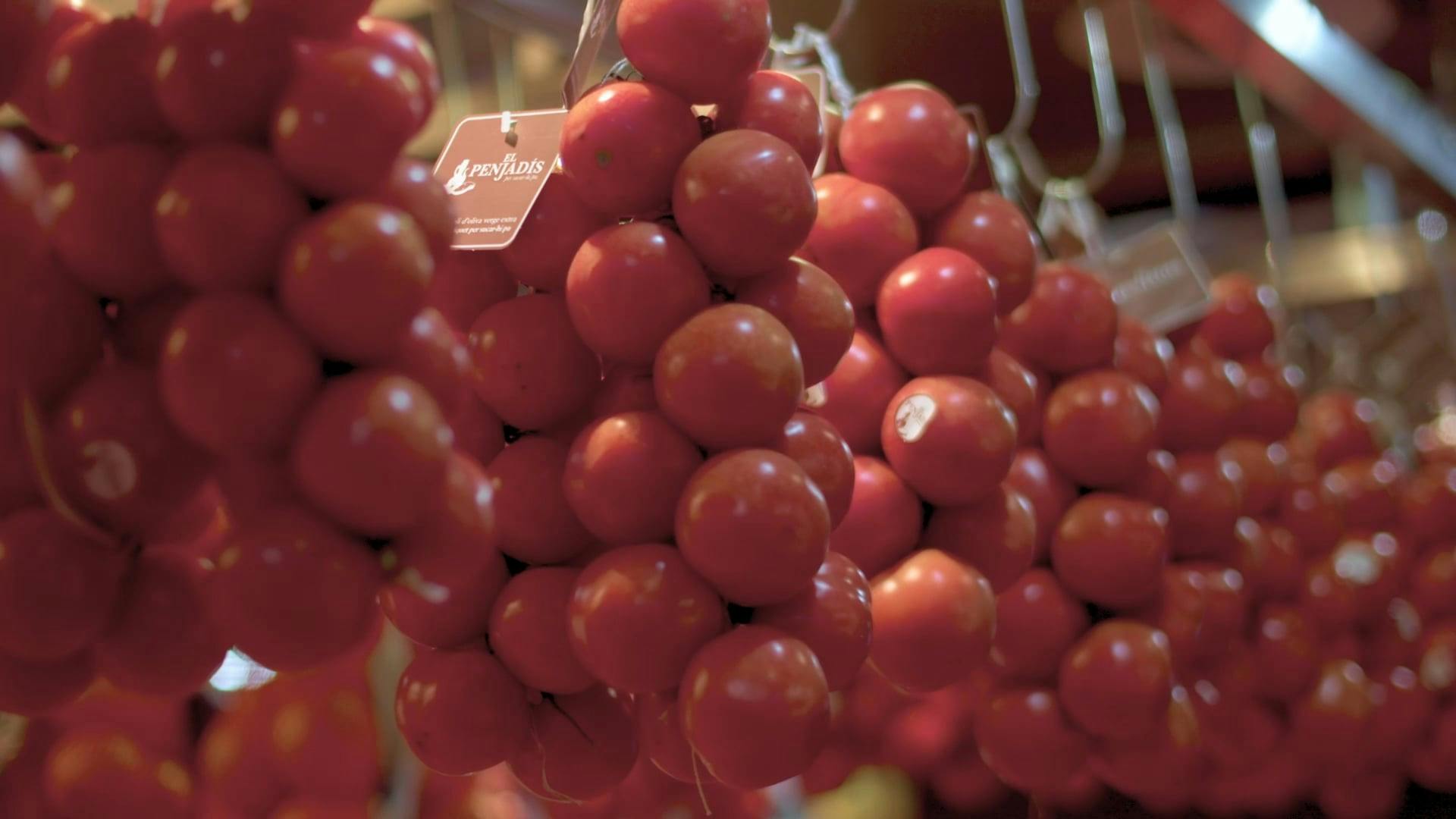 Rolling Tomatoes On The Artificial Grass Free Stock Video Footage ...