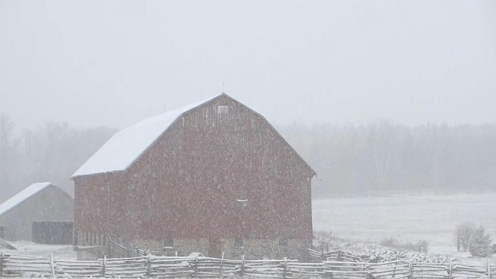 A Snowfall in the Countryside · Free Stock Video