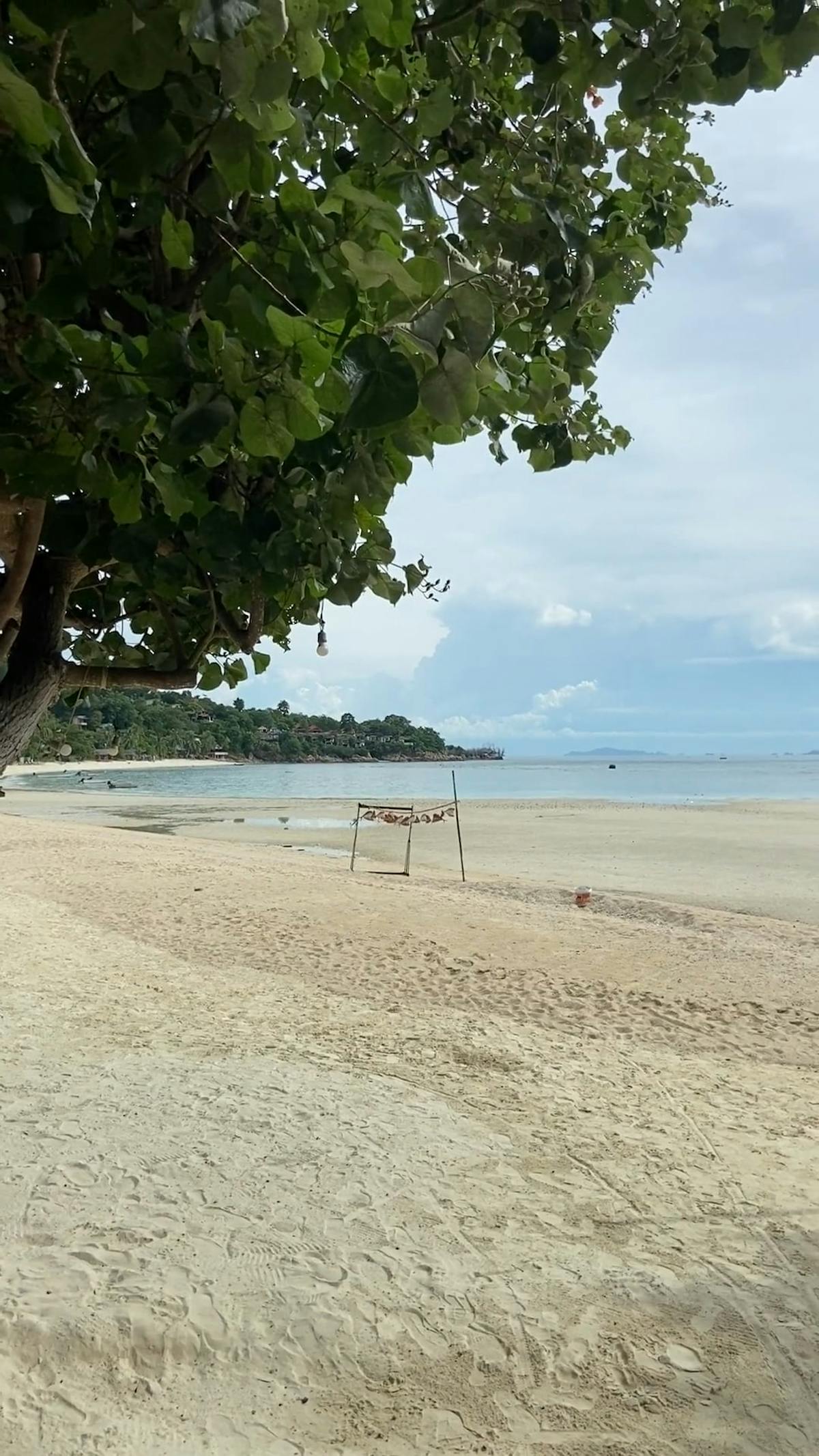 Beach Vertical Videos, Download The BEST Free 4k Stock Video Footage ...