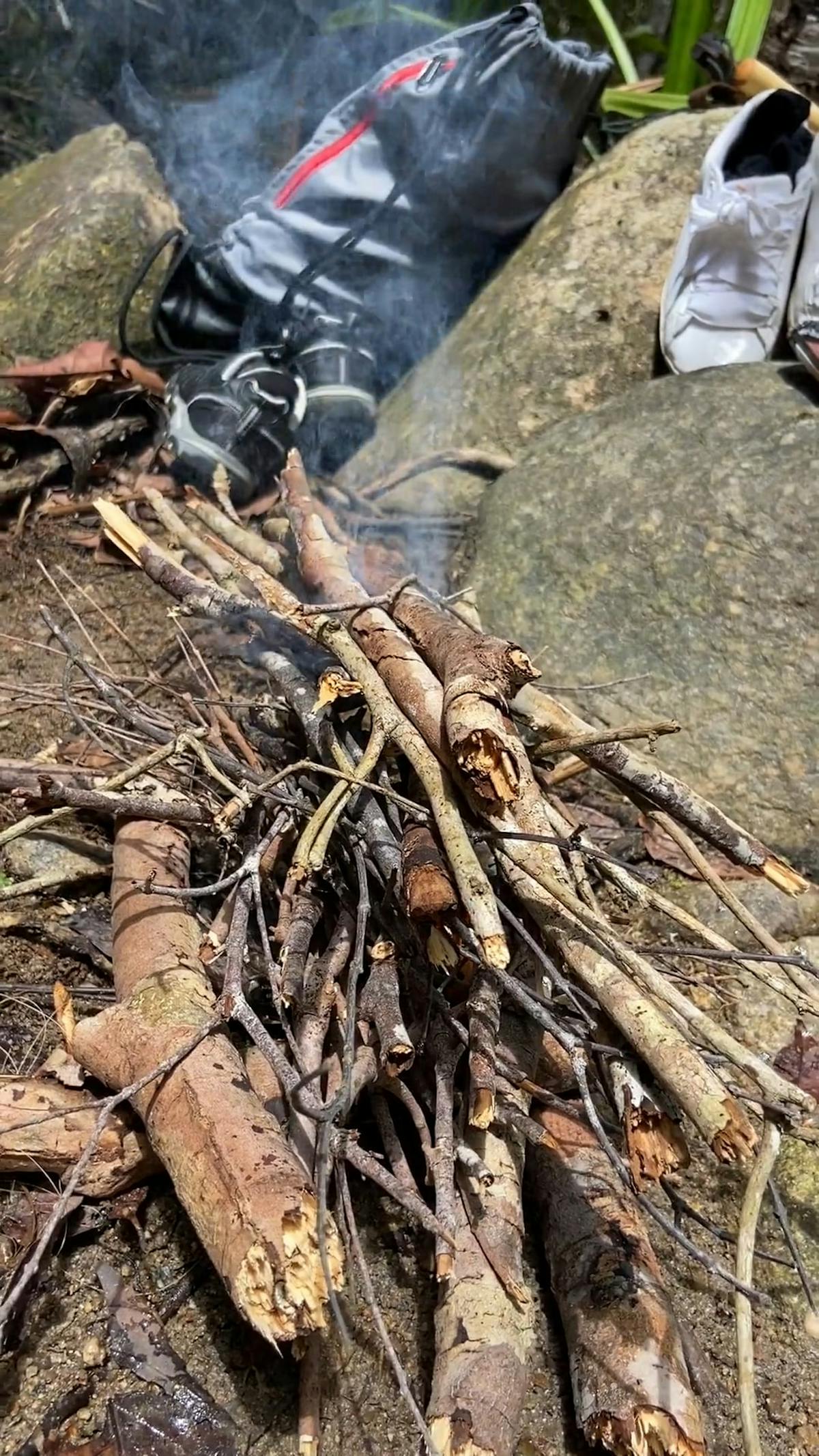 Jungle Fire Videos, Download The BEST Free 4k Stock Video Footage ...