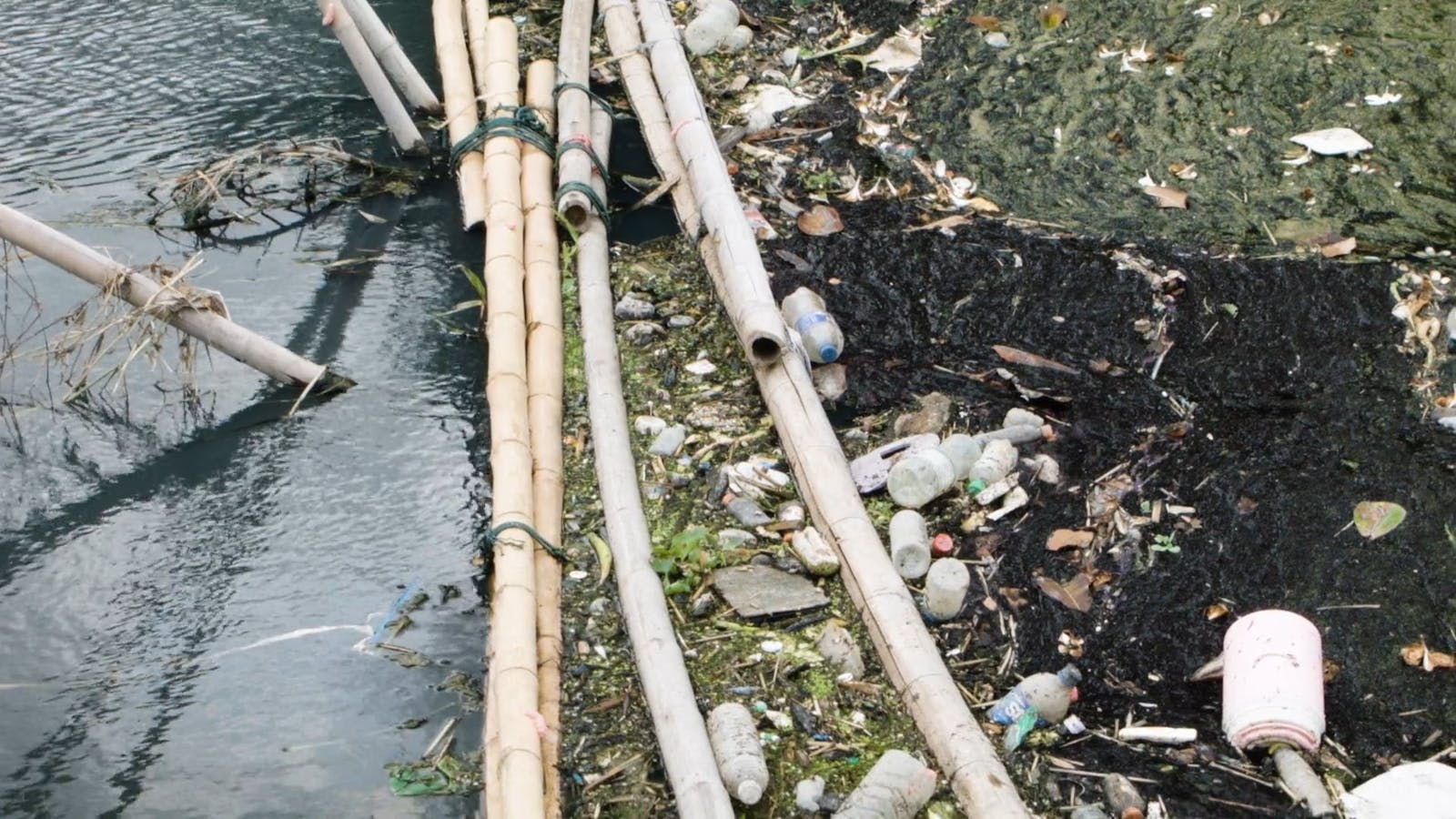 Environmental Pollution Videos, Download The BEST Free 4k Stock Video ...