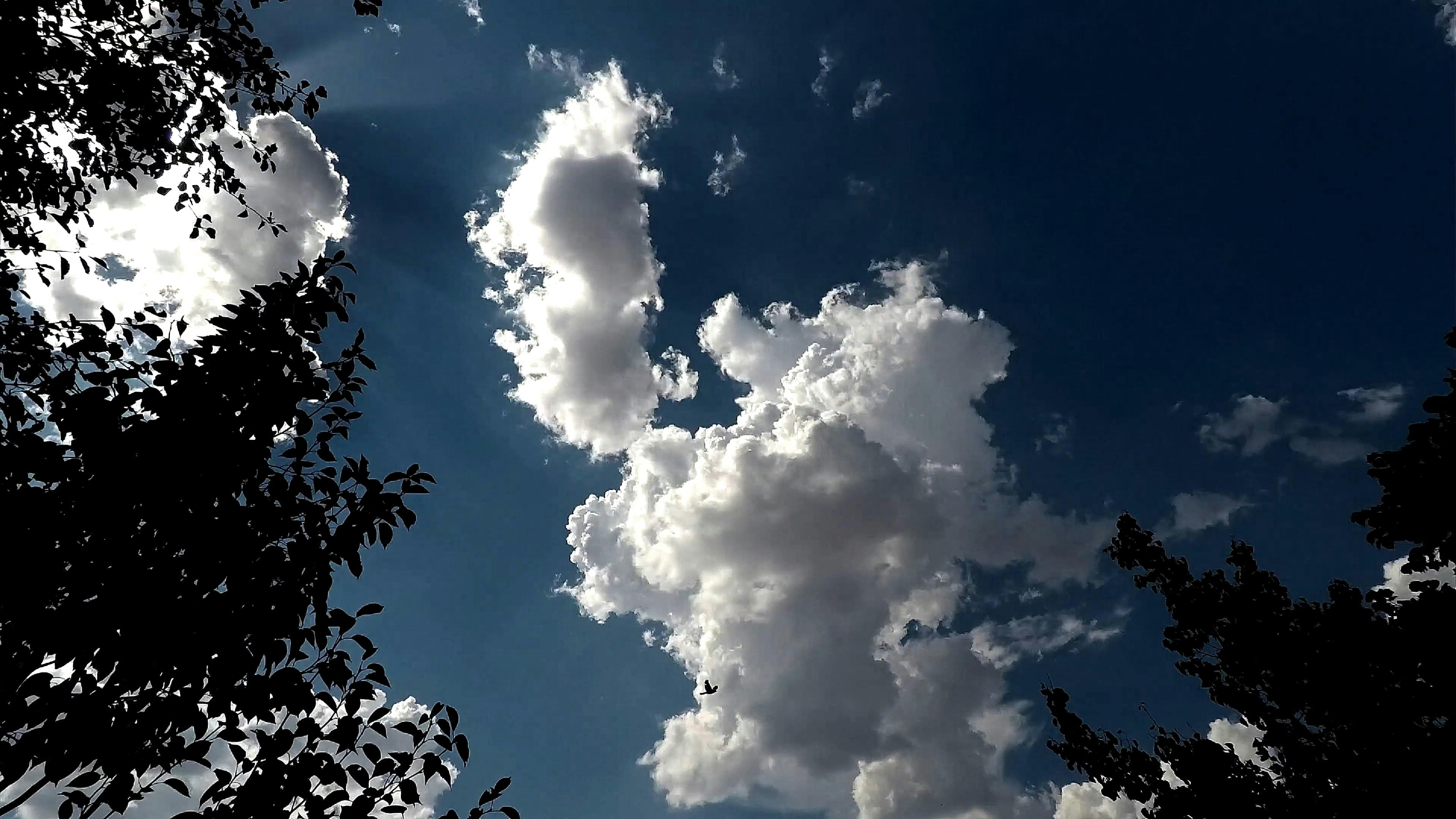 Time Lapse of a Sky · Free Stock Video