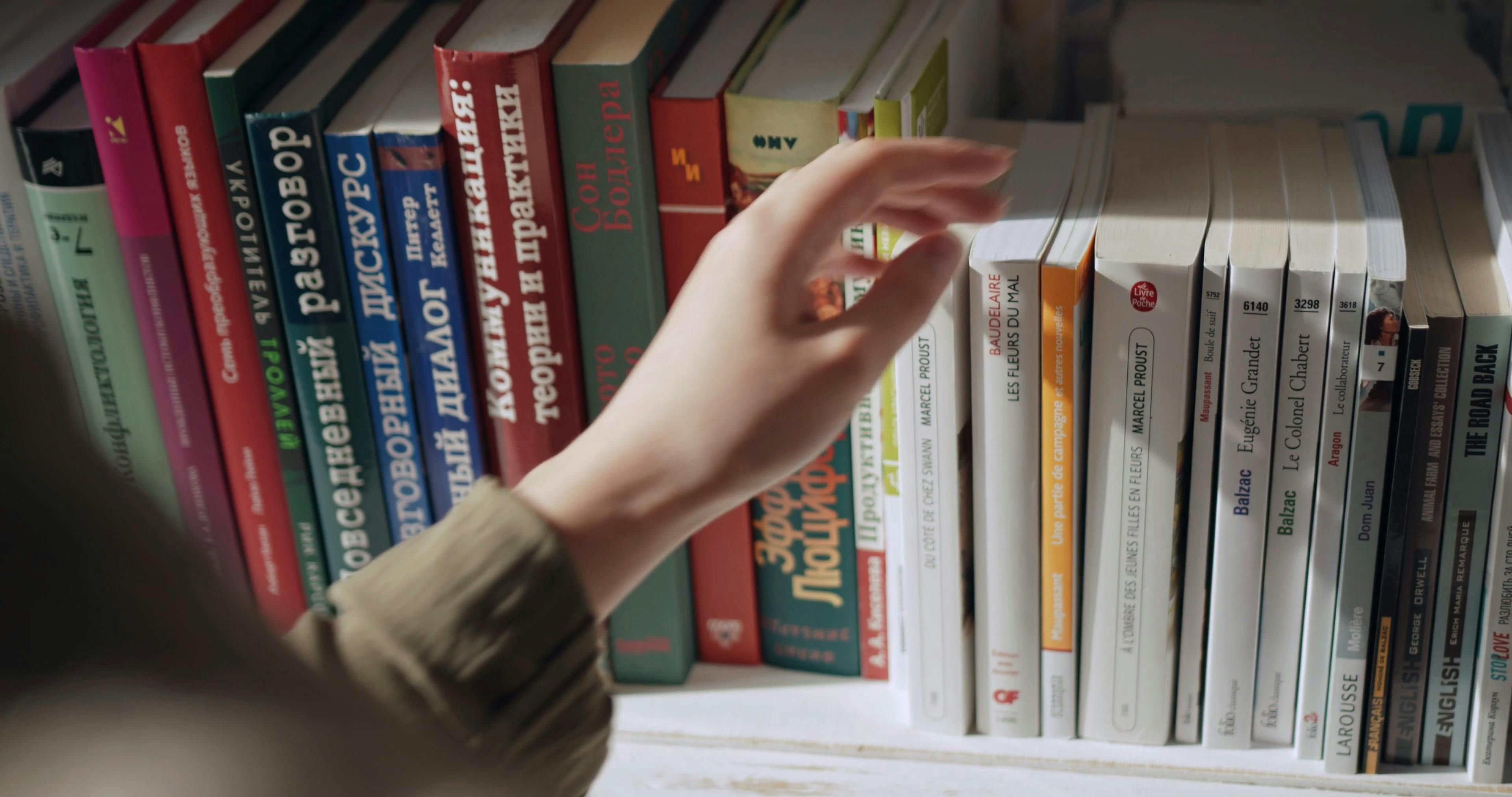 Woman Reading A Book Free Stock Video Footage, Royalty-Free 4K & HD ...