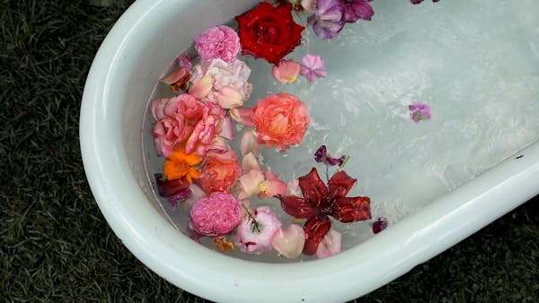 Flower Bath Videos, Download The BEST Free 4k Stock Video Footage ...