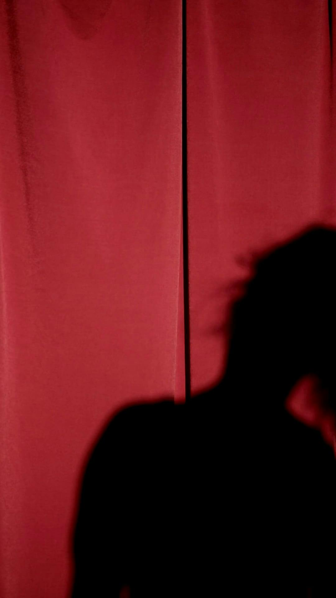 Woman Shadow on a Red Background · Free Stock Video