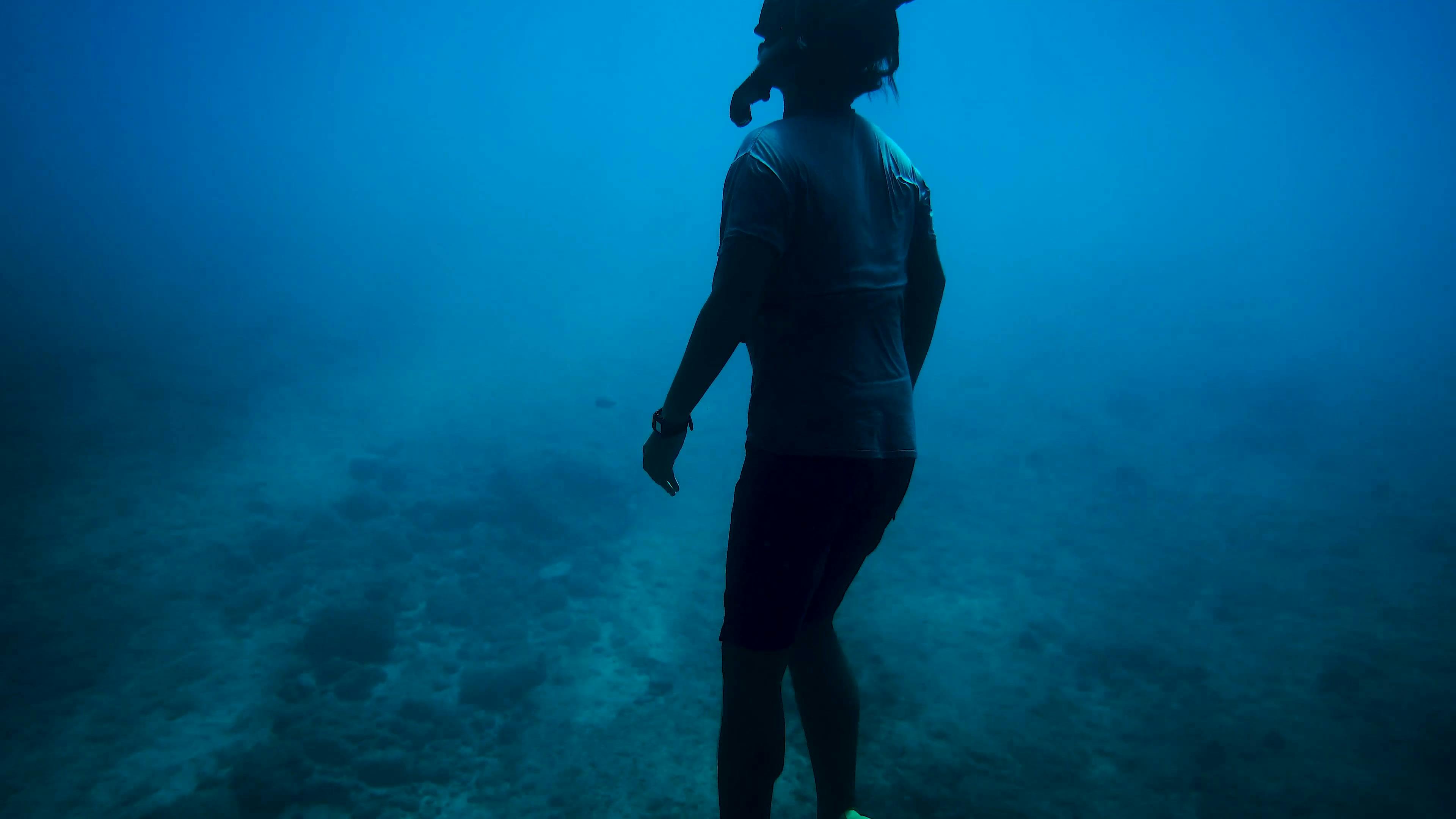 Diver Going Up to the Water Surface Free Stock Video Footage, Royalty ...