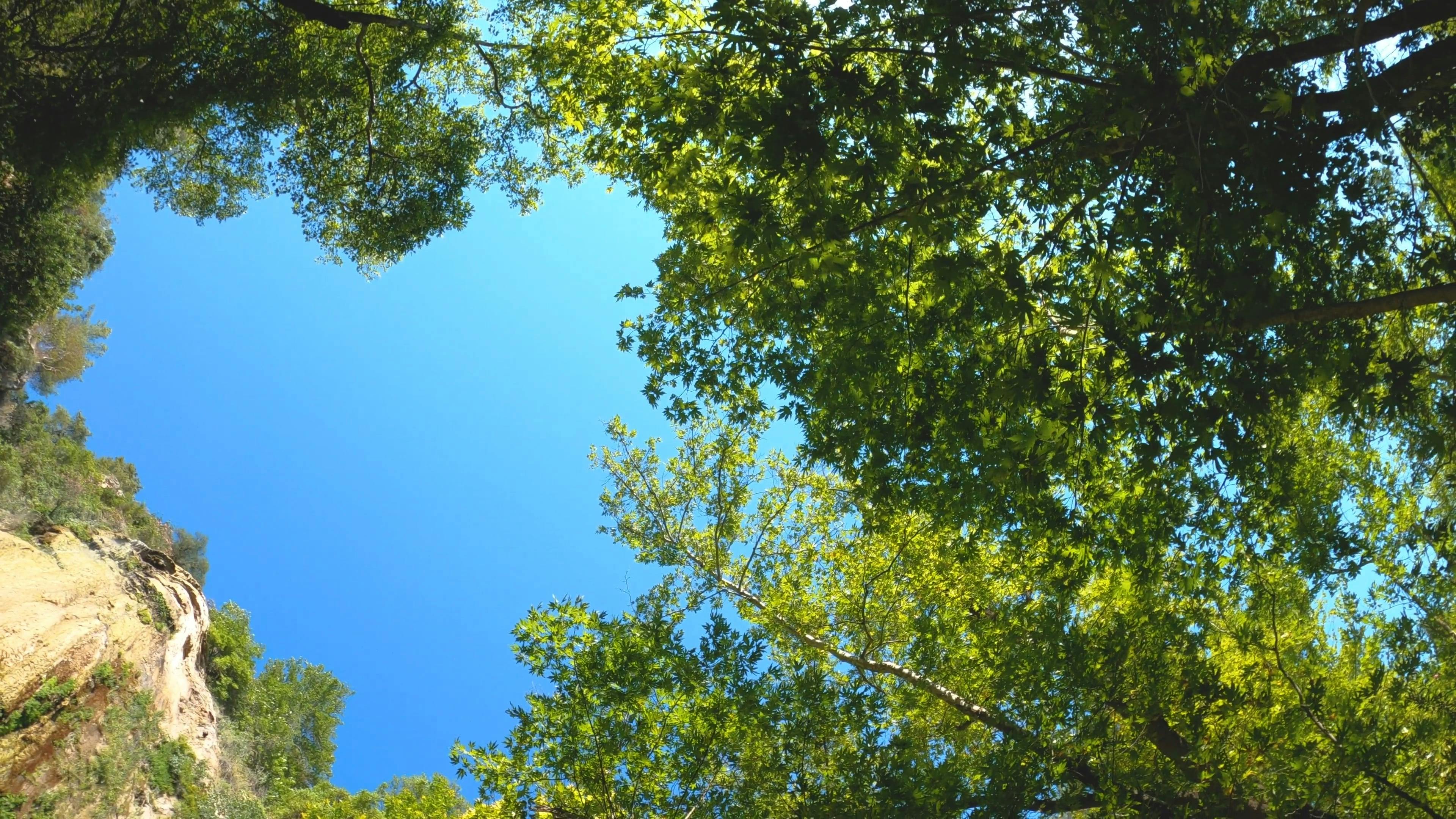 Beautiful Sight Of Nature Free Stock Video Footage, Royalty-Free 4K ...