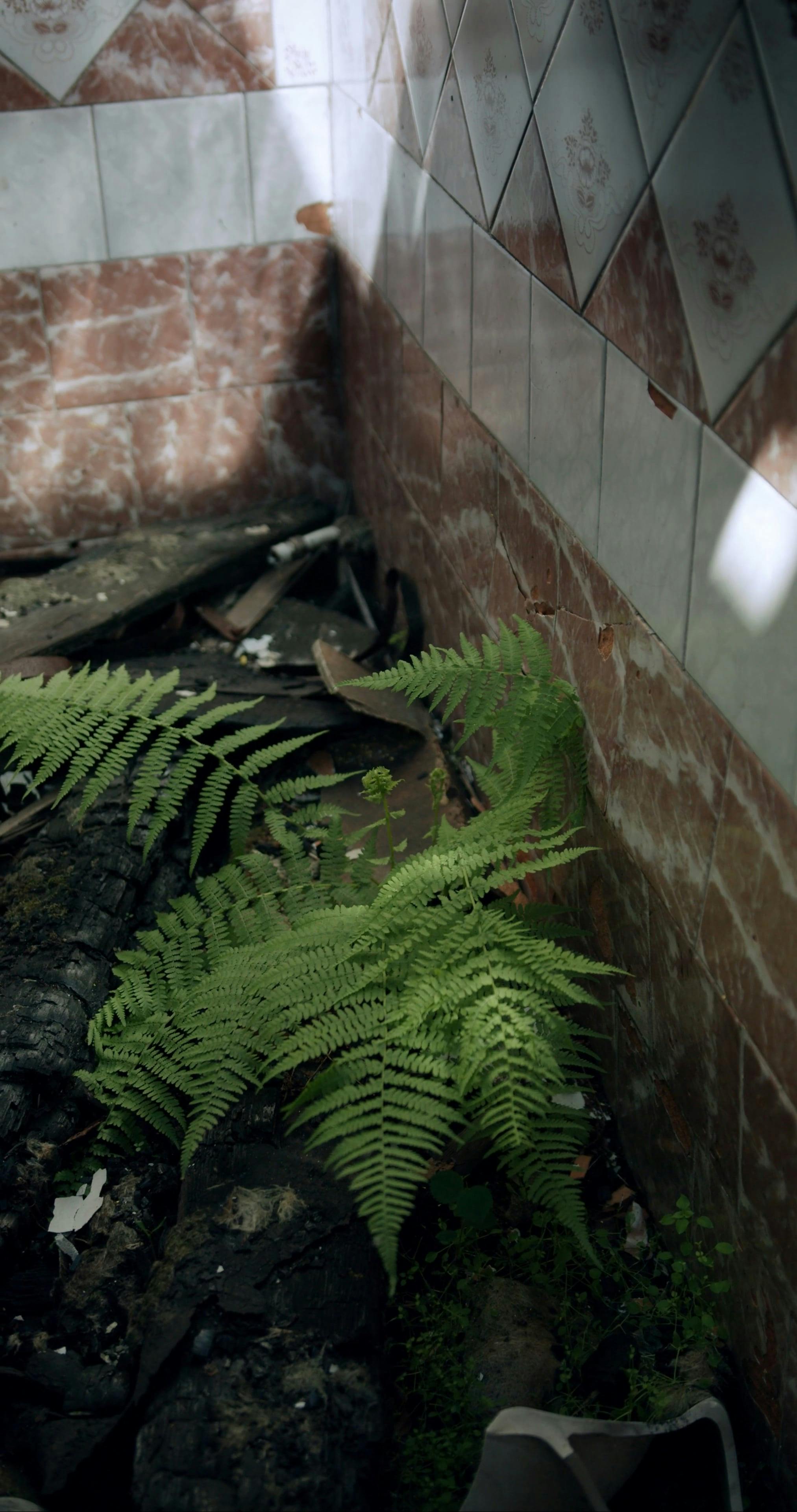 Ruined Life Videos, Download The BEST Free 4k Stock Video Footage ...