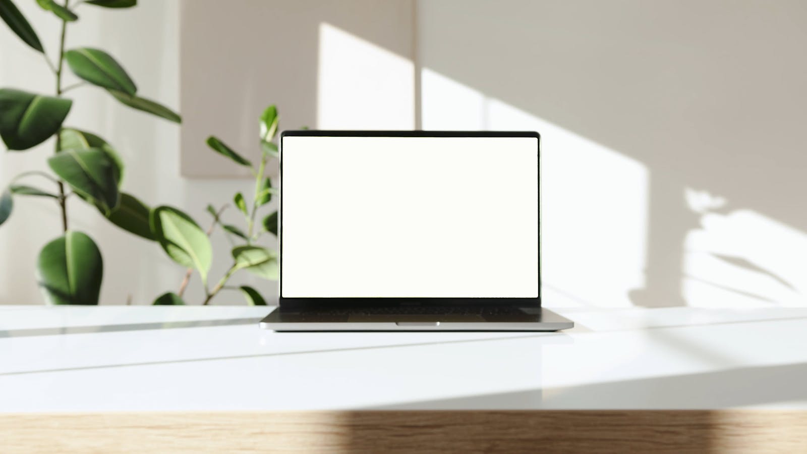 Laptop Screen No Background Videos, Download The BEST Free 4k Stock ...