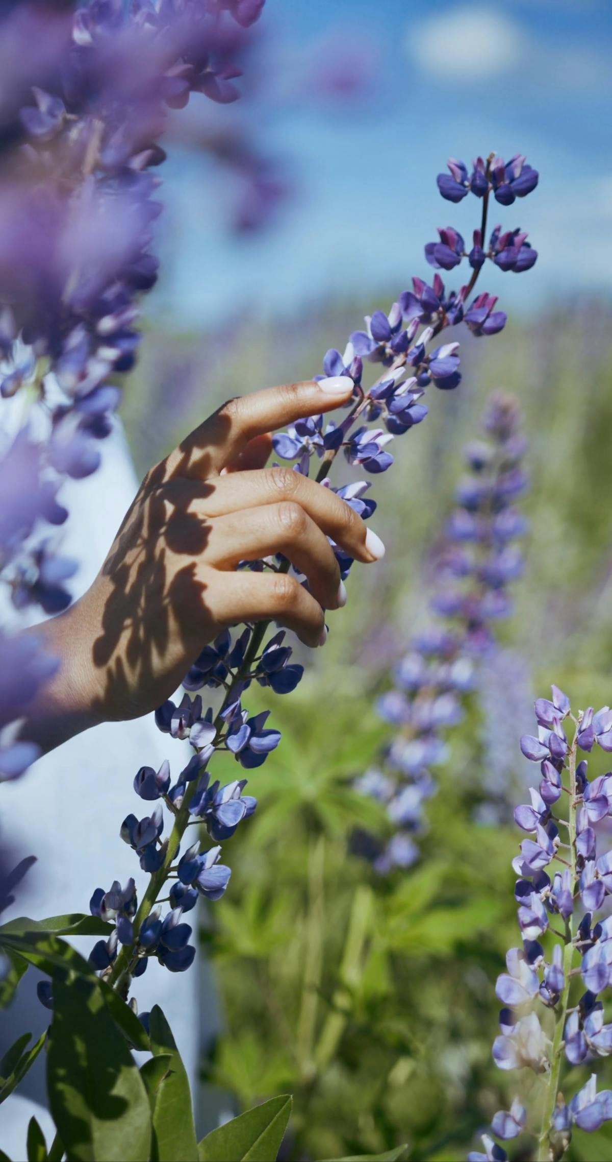 Herbs 98x98 Videos, Download The BEST Free 4k Stock Video Footage ...