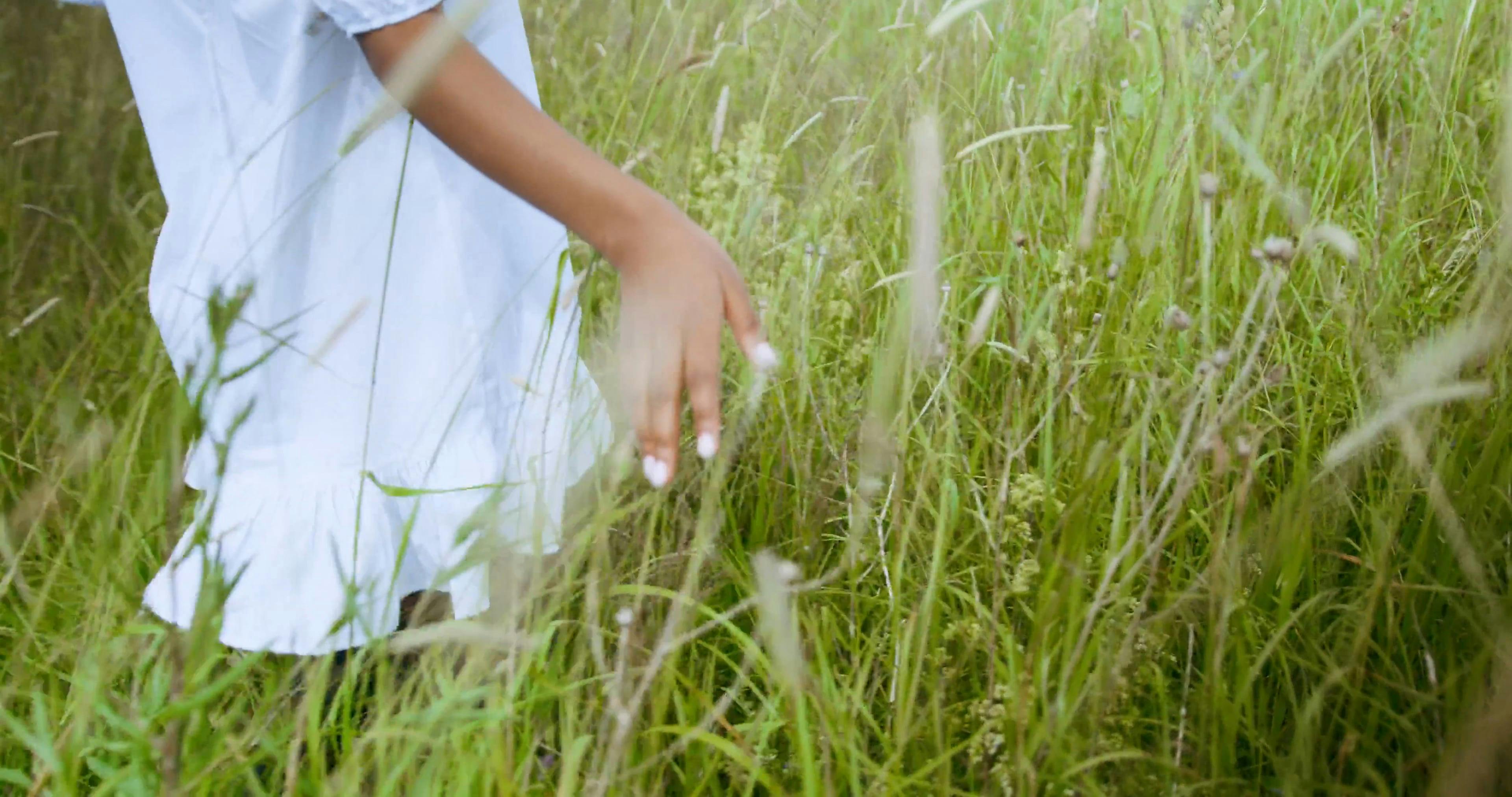 Anonymous Landscape Videos, Download The BEST Free 4k Stock Video ...