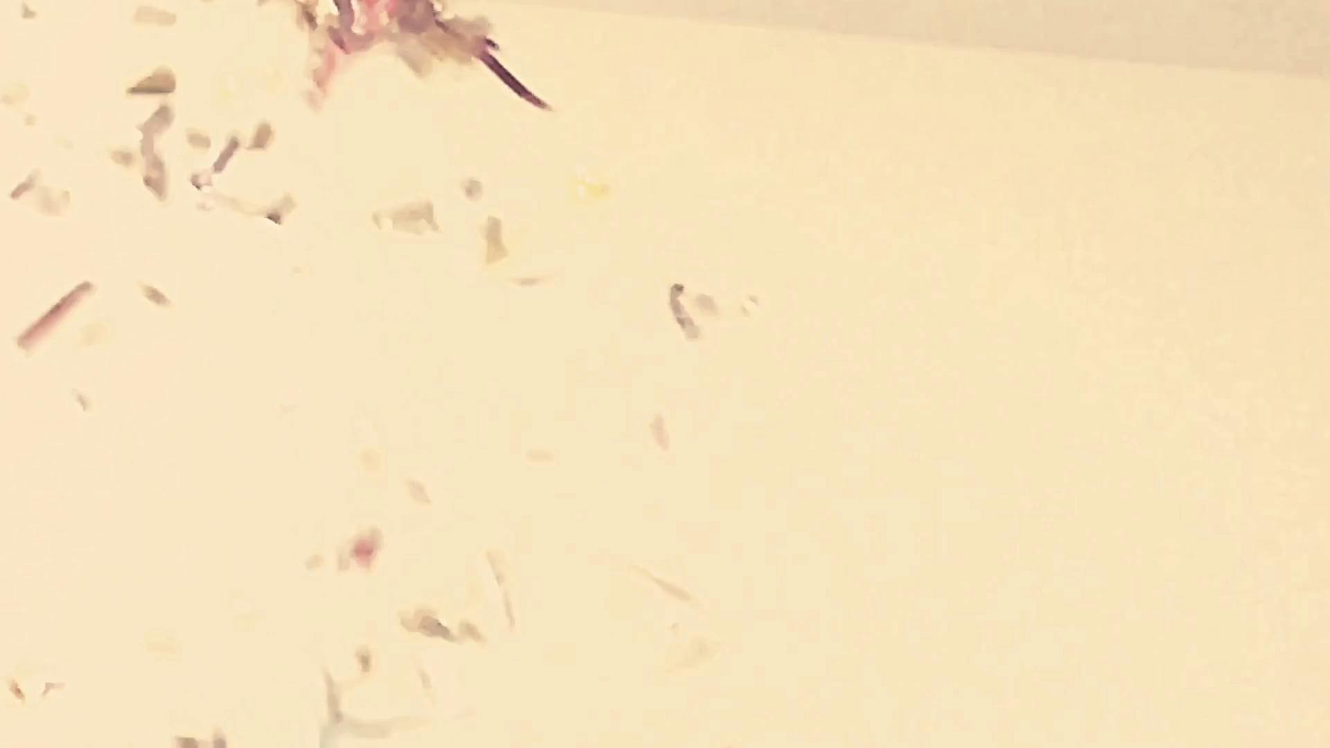 400+ Best Confetti Videos · 100% Free Download · Pexels Stock Videos