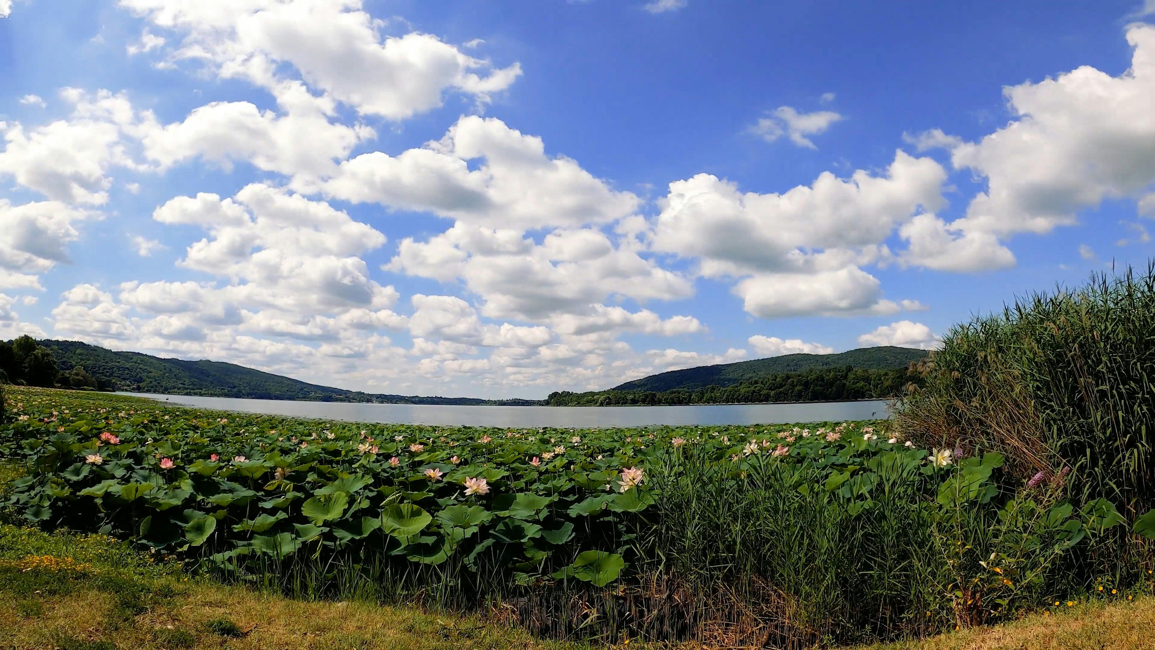 A Beautiful Outdoor Scenery In A Time lapse Video · Free Stock Video