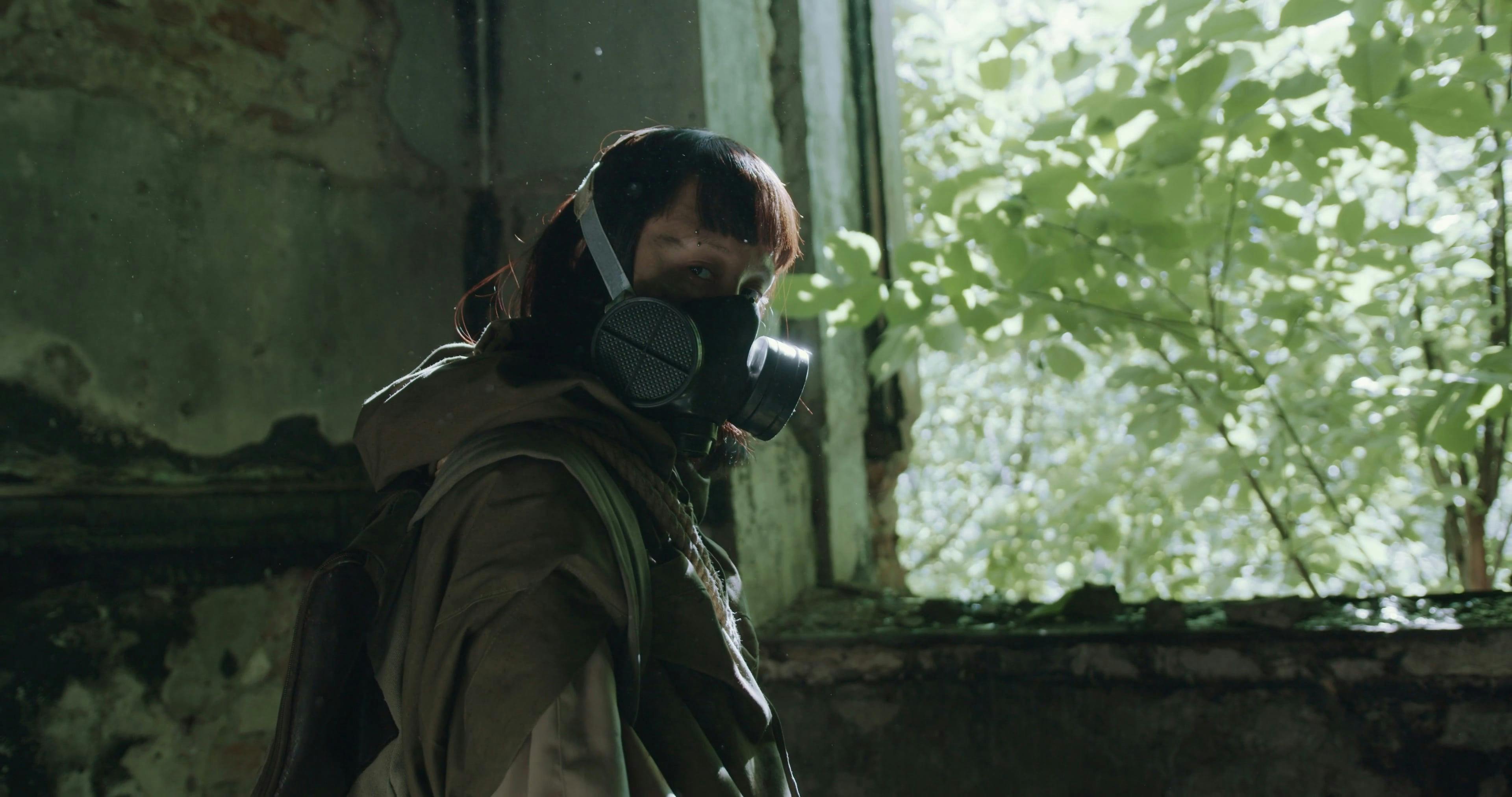 900+ Best Environmental Pollution Videos · 100% Free Download · Pexels ...