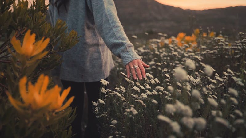 Woman Walking Videos, Download The BEST Free 4k Stock Video Footage ...