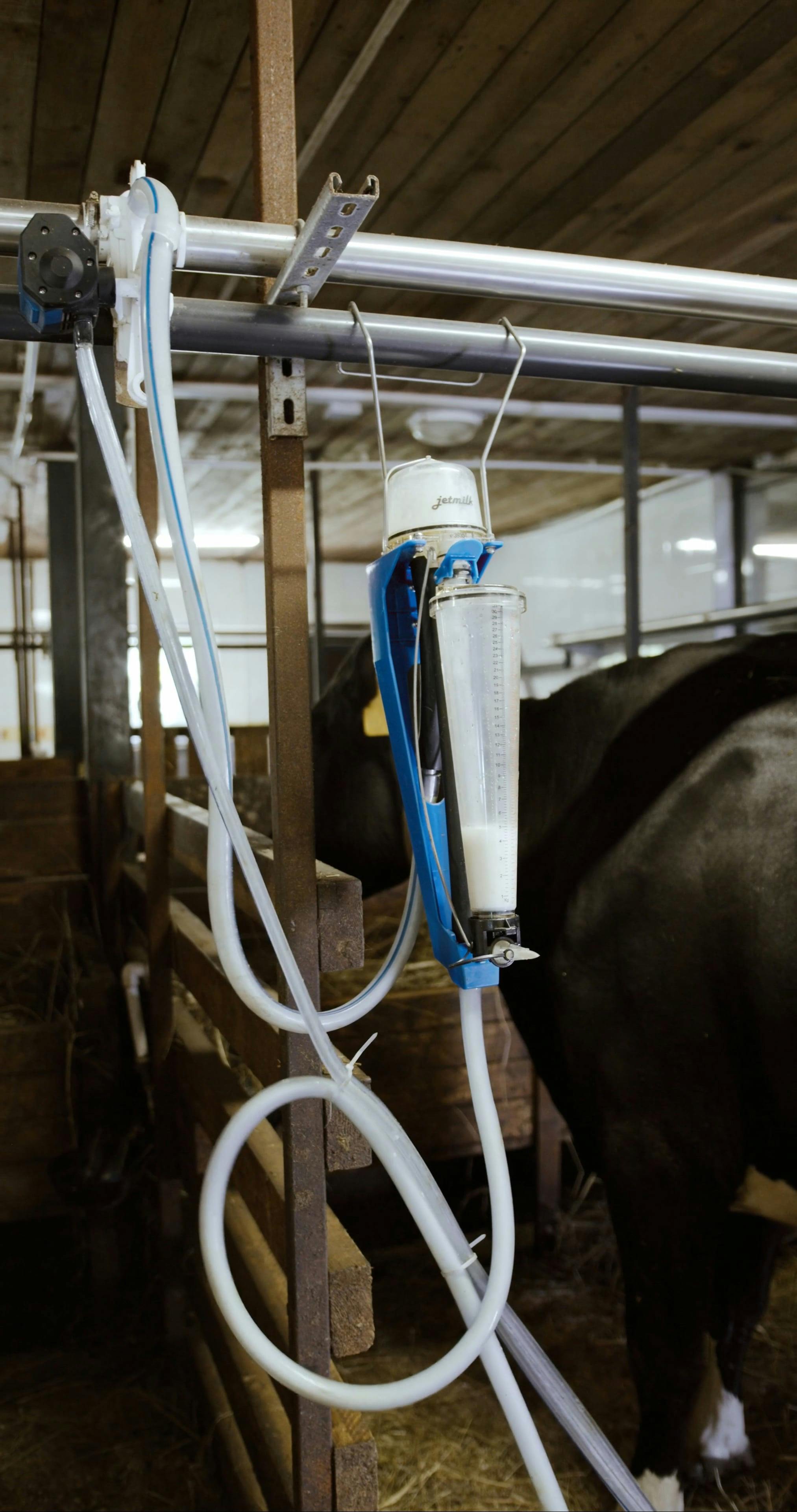 Dairy Farm Management System Dashboard Videos, Download The BEST Free ...