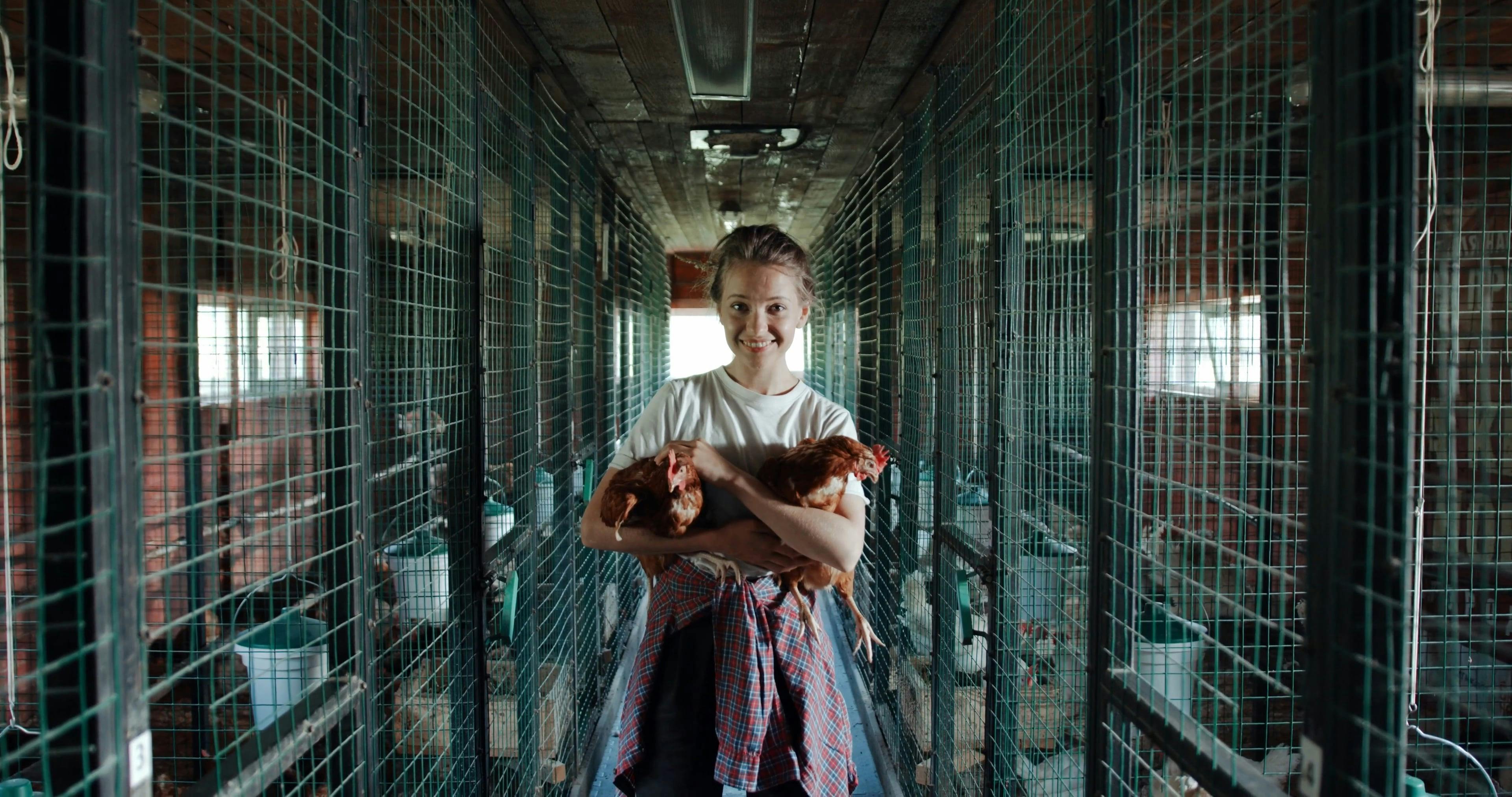 Cuddle Free Issue Videos, Download The BEST Free 4k Stock Video Footage ...