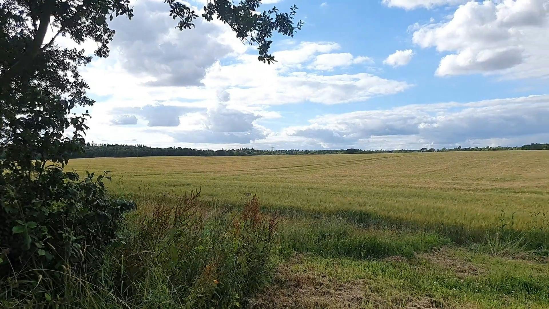 Scenery of Relaxing Farm Field During Daytime Free Stock Video Footage ...