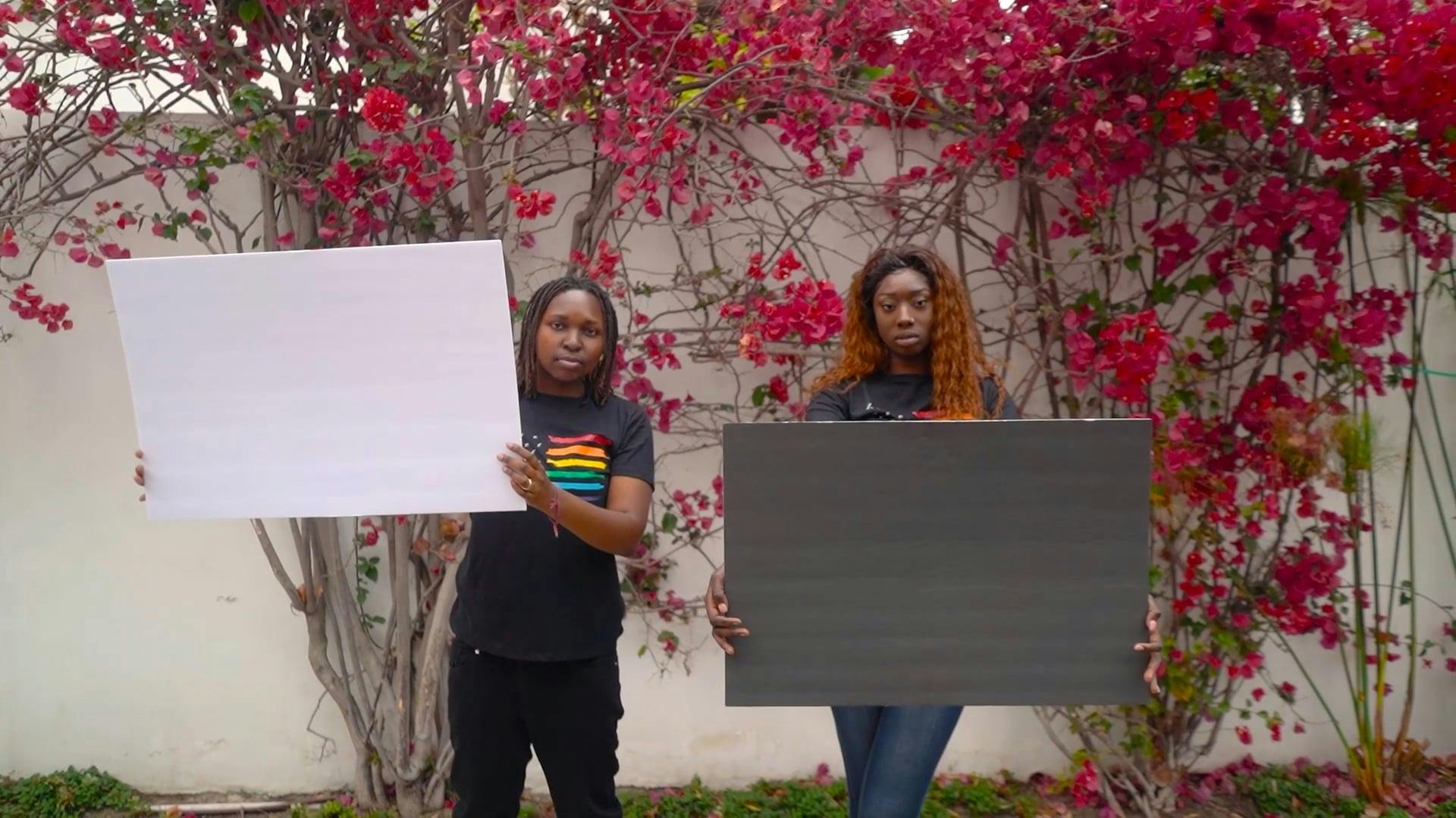 Flowers On Right Side Background Videos, Download The BEST Free 4k ...