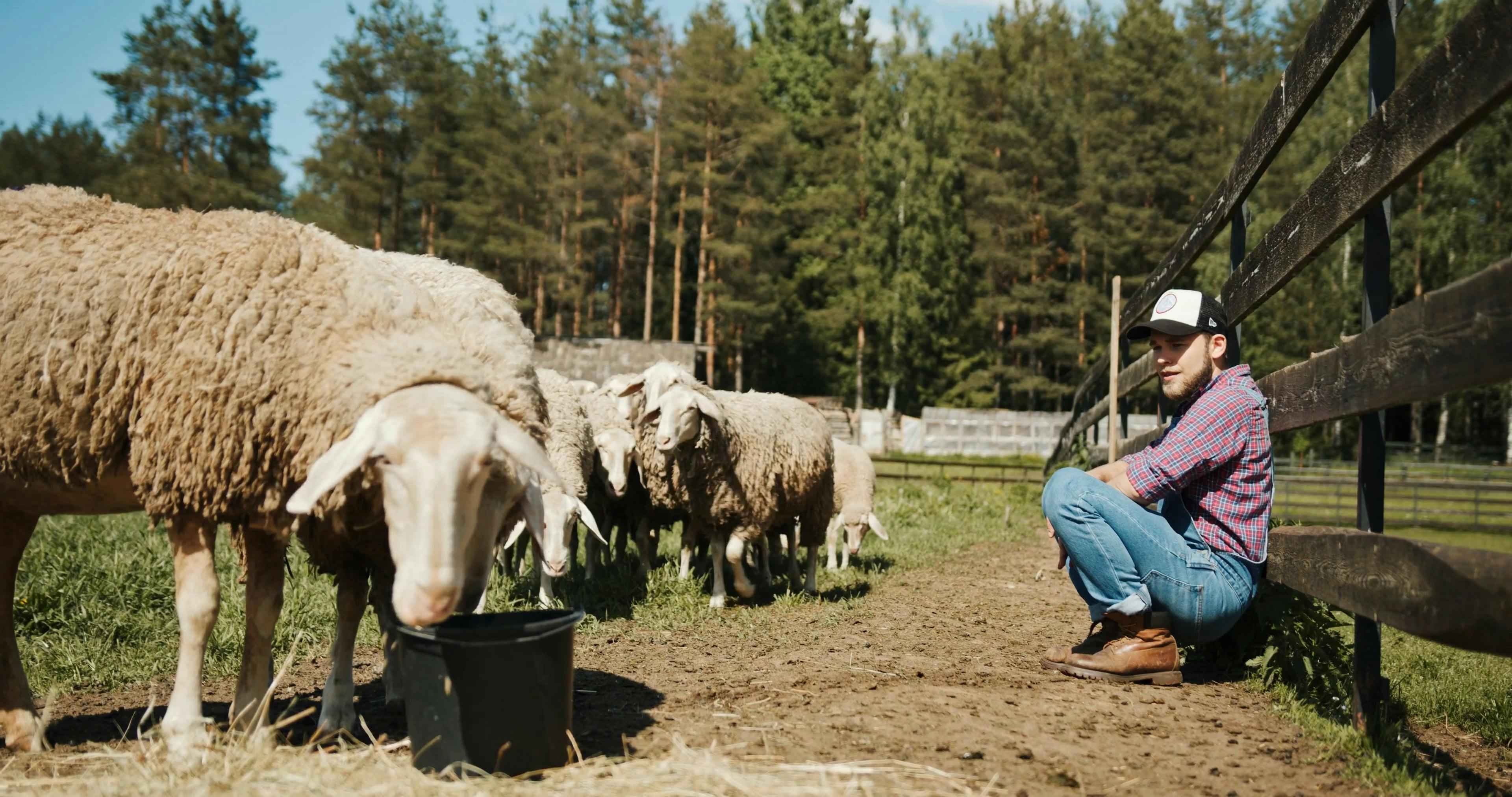 Vídeos de stock gratuitos sobre a cuadros, agricultor, agricultura ...