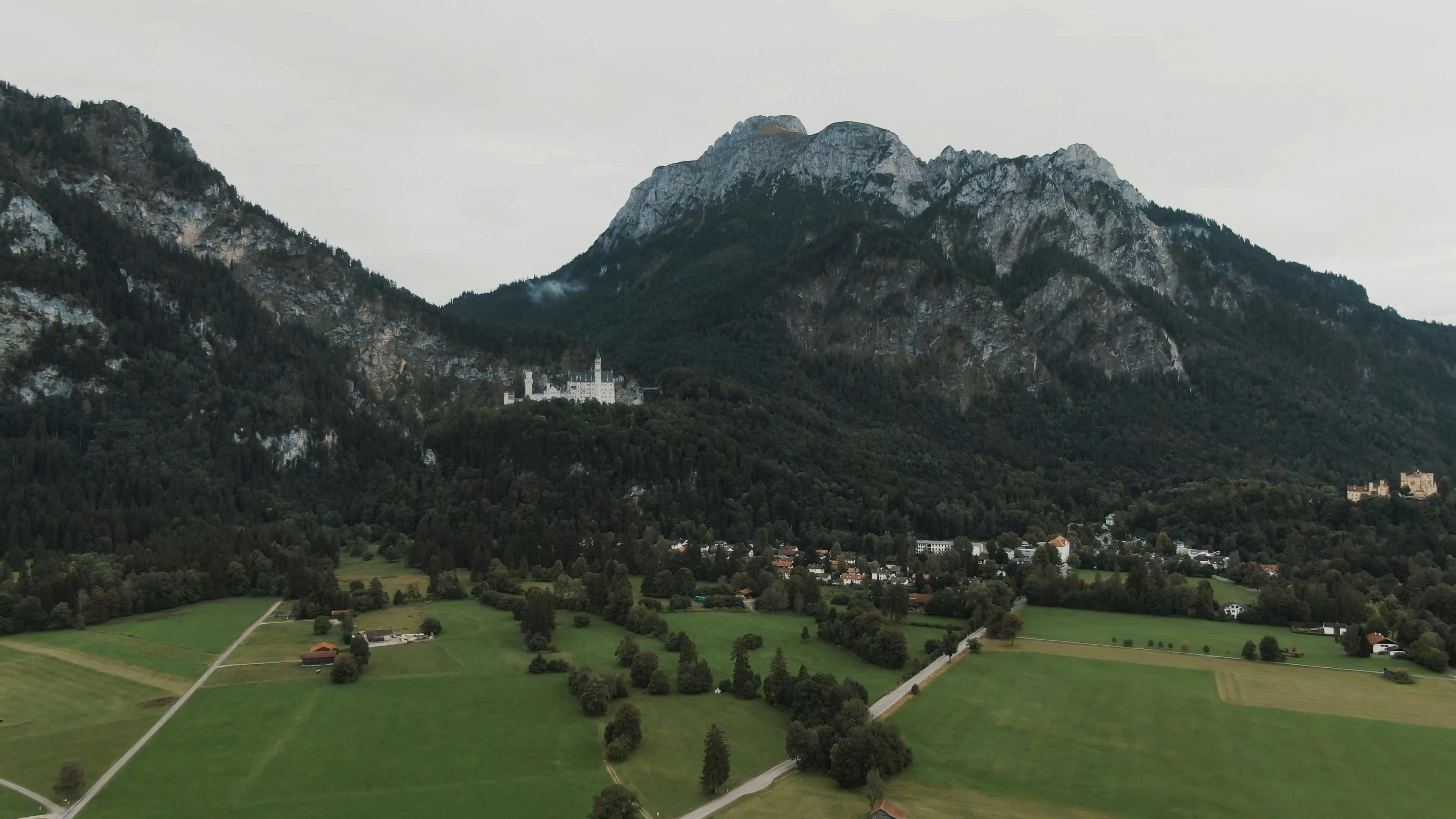 German Flora Videos, Download The BEST Free 4k Stock Video Footage ...